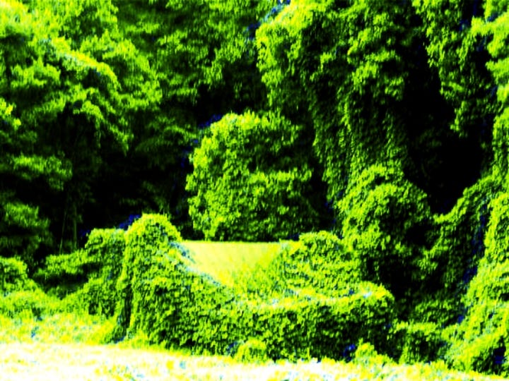Give Up The Ghost Fictions By P C M Christ give-up-the-ghost-fictions-by-p-c-m-christ