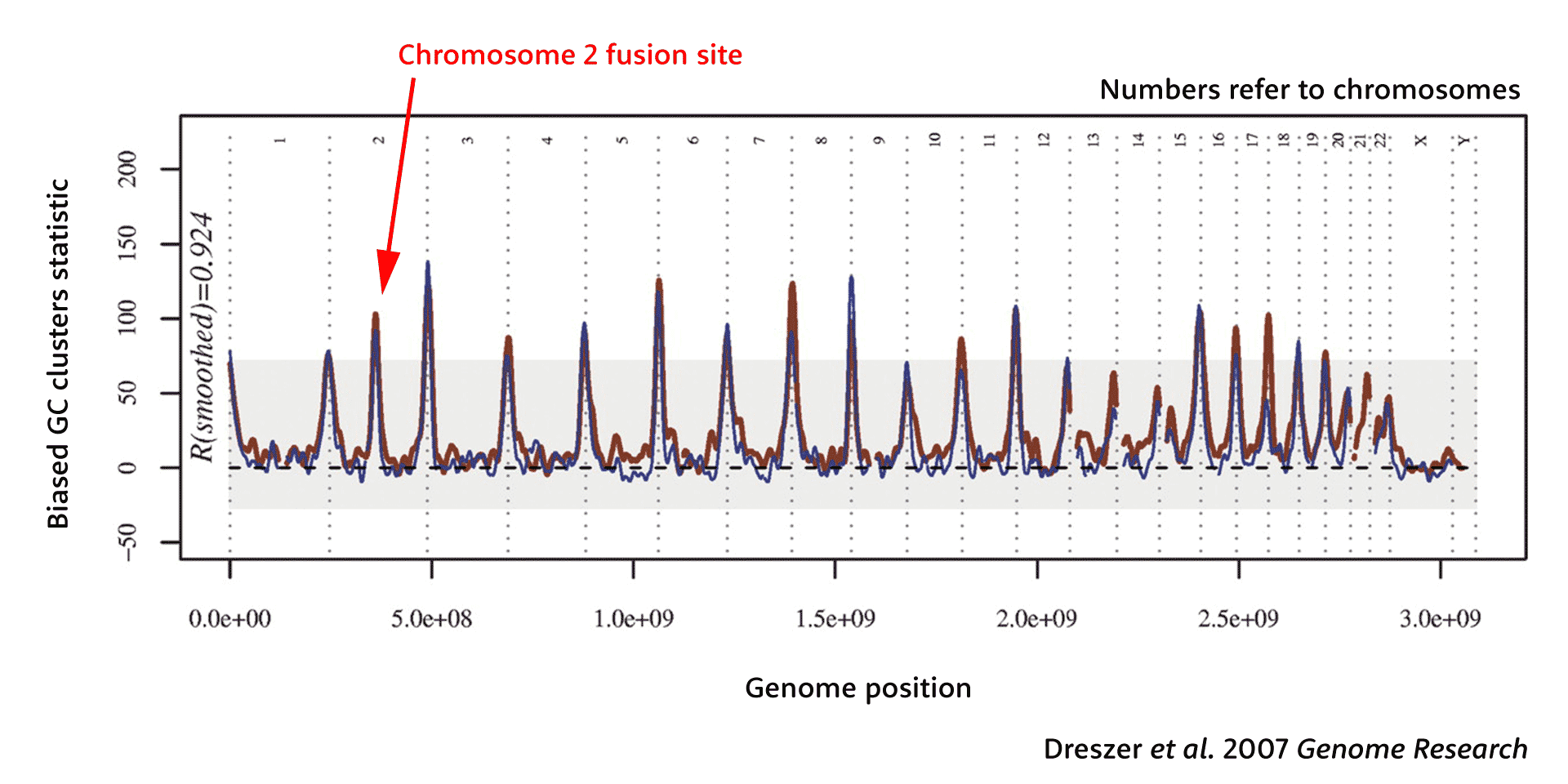 When did human chromosome 2 fuse? - John Hawks