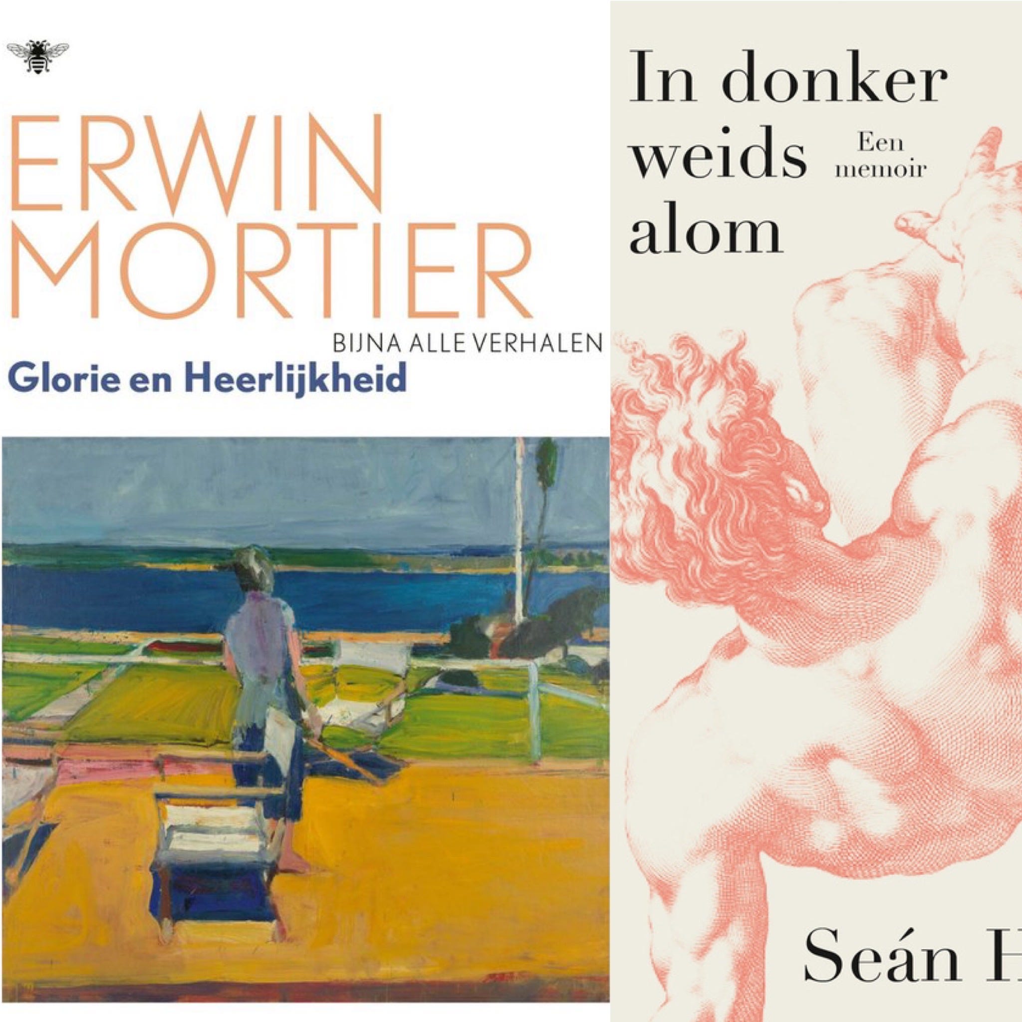 #18 en de leesclub heet: Maxplainers - drie dingen