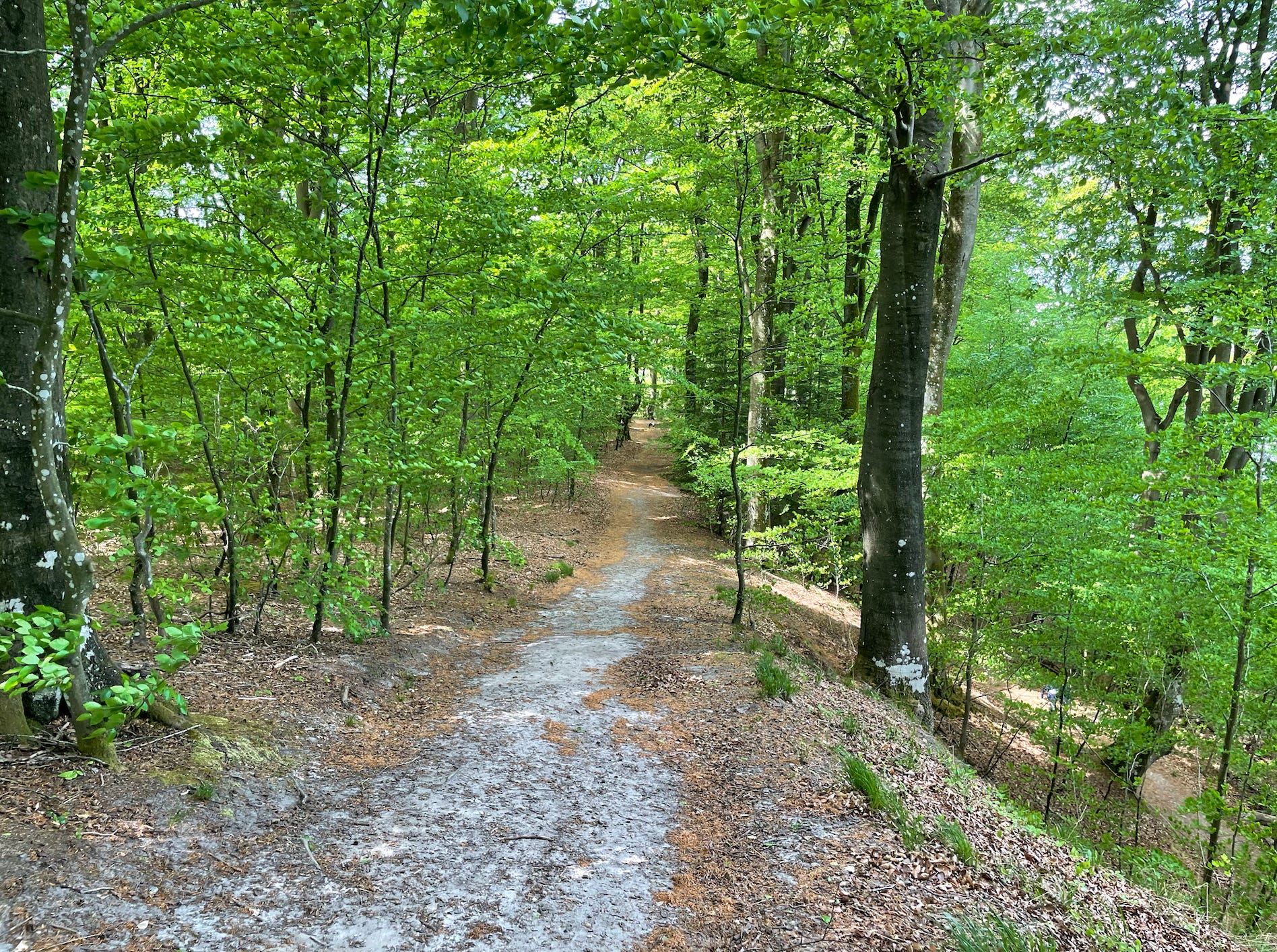 Friluftsliv in Silkeborg - by Meg Fischer