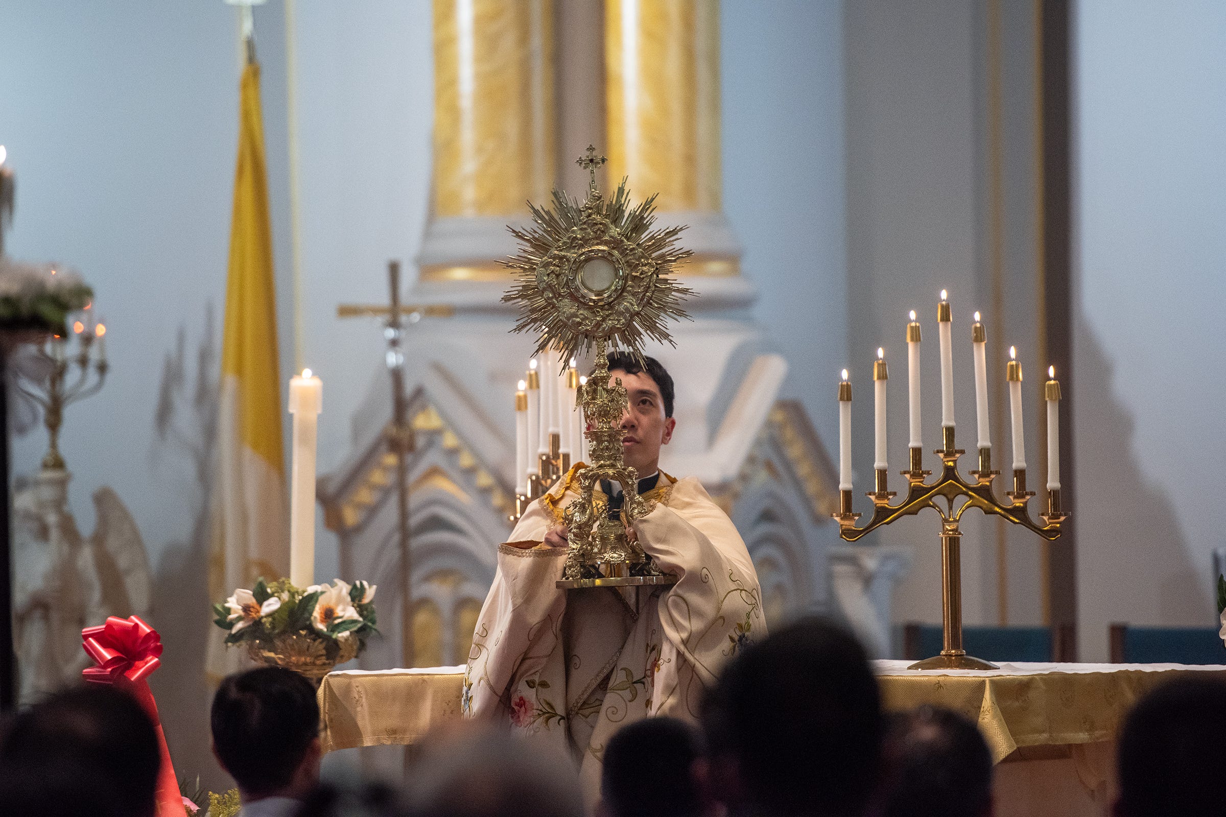 From Forests to Freedom: The Amazing Story of New York City's Feast of ...