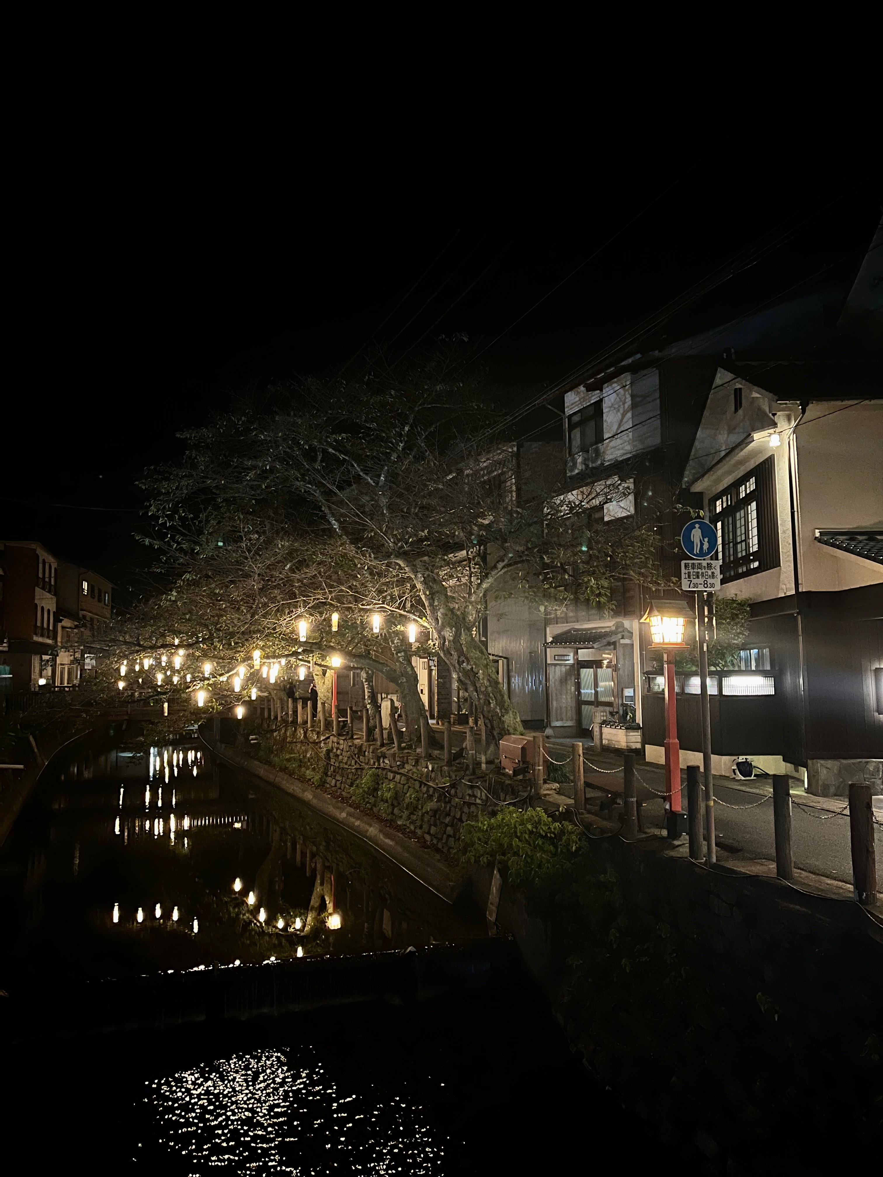 Sushi & Bao - by Emma & Zach - Emma’s Substack