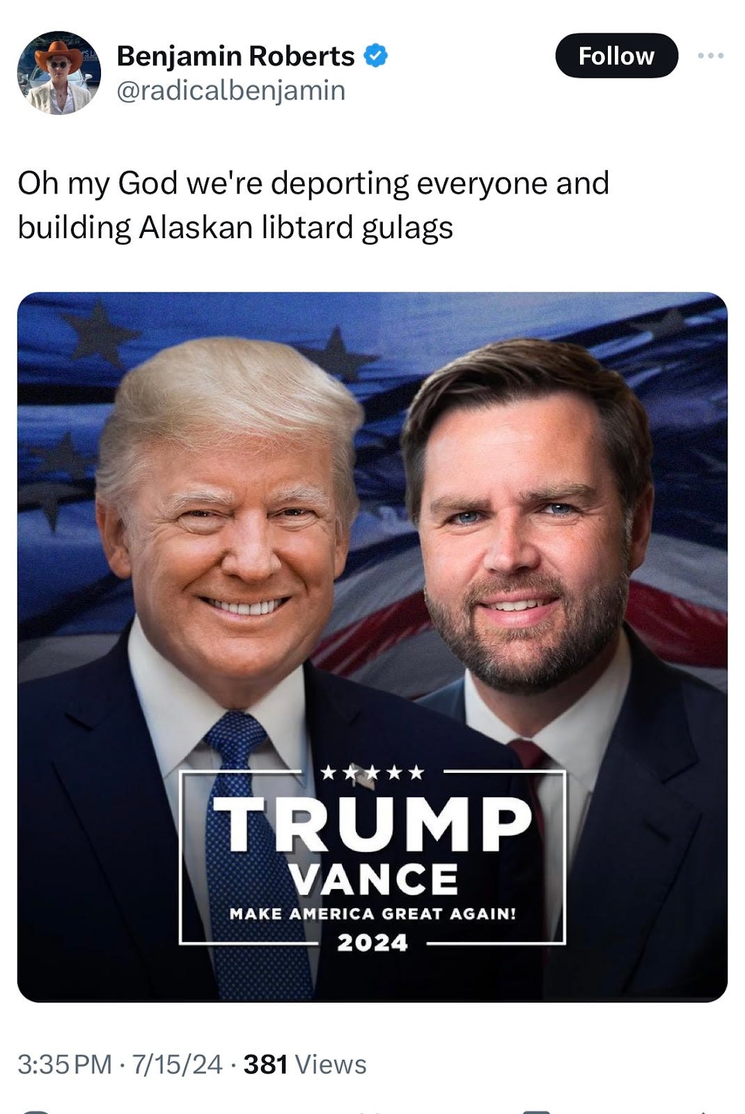 The unraveling of a cat tale - Drop Site News