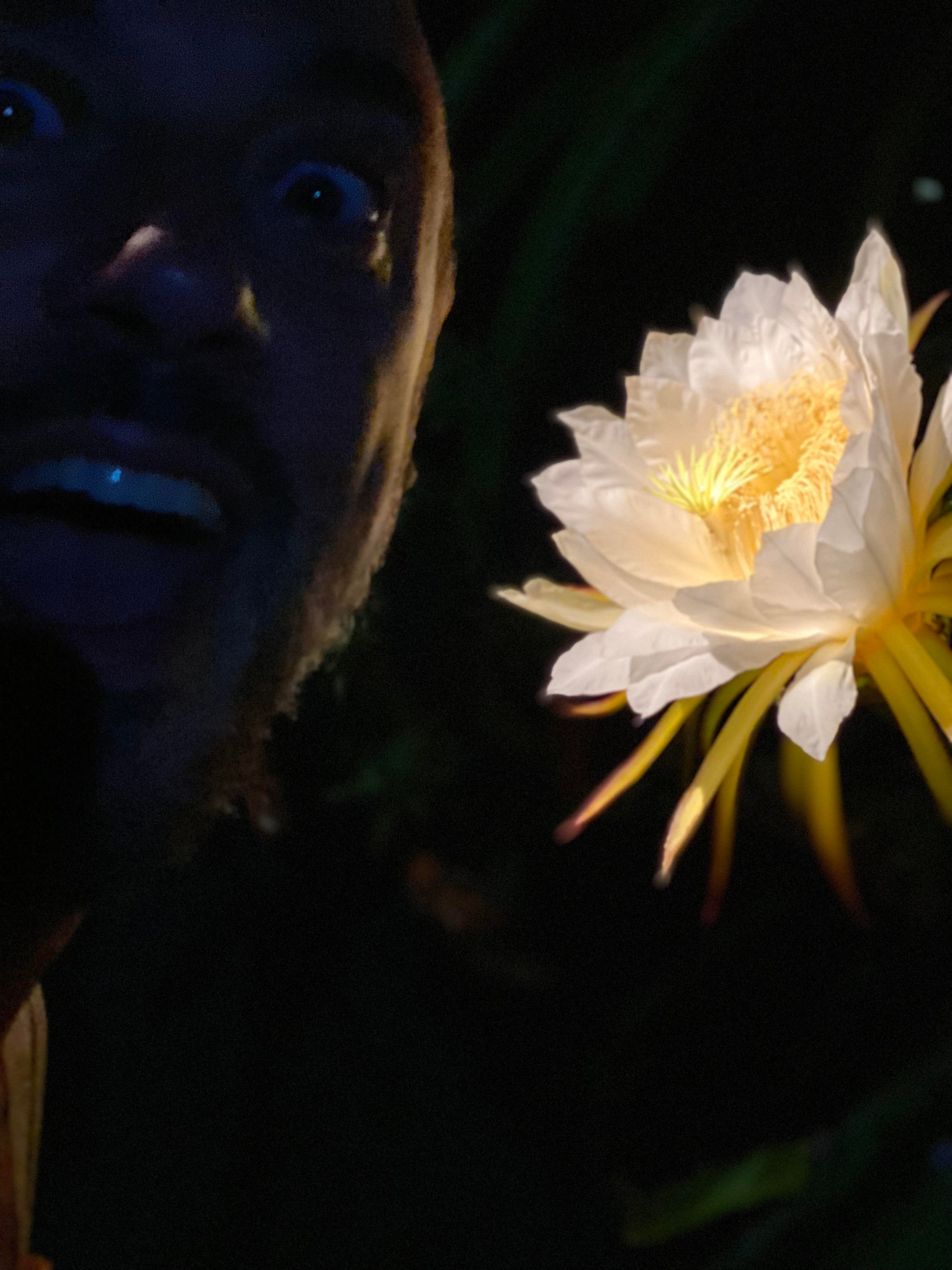 Andy Beta | Substack