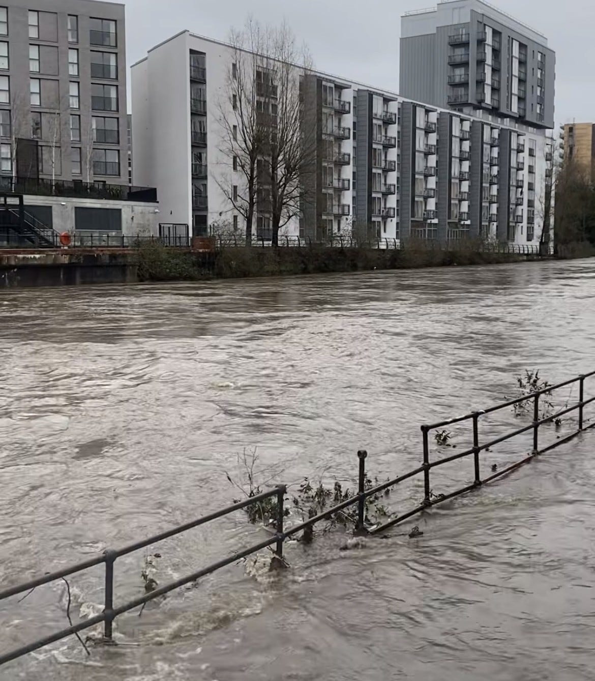 'Nobody’s ever known it like this' - what can be done to stop Salford ...