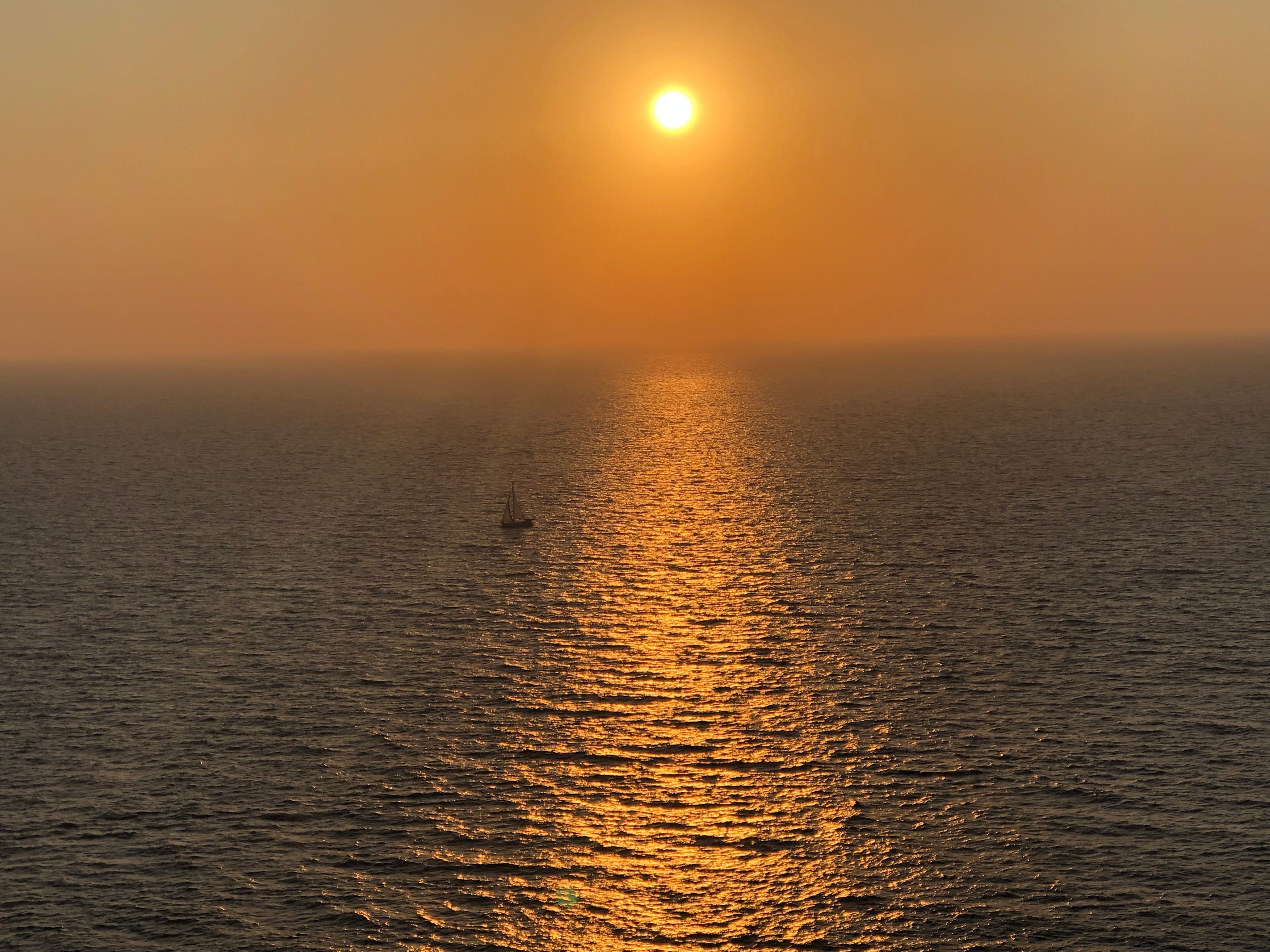 News | Jordyn Shellhart