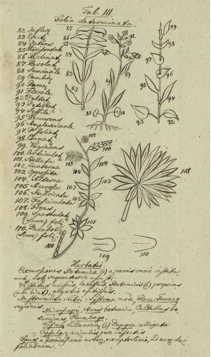 Carl Linnaeus's Note-Taking Innovations - by Jillian Hess