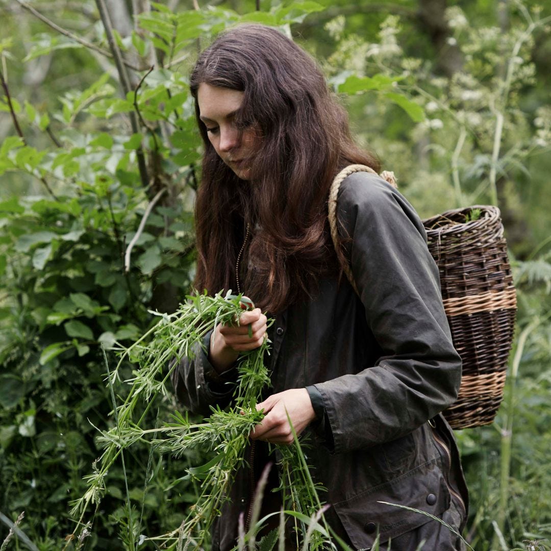 Becky O Cole | Substack