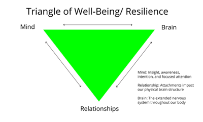The Triangle of Wellbeing - by Elizabeth Shuler