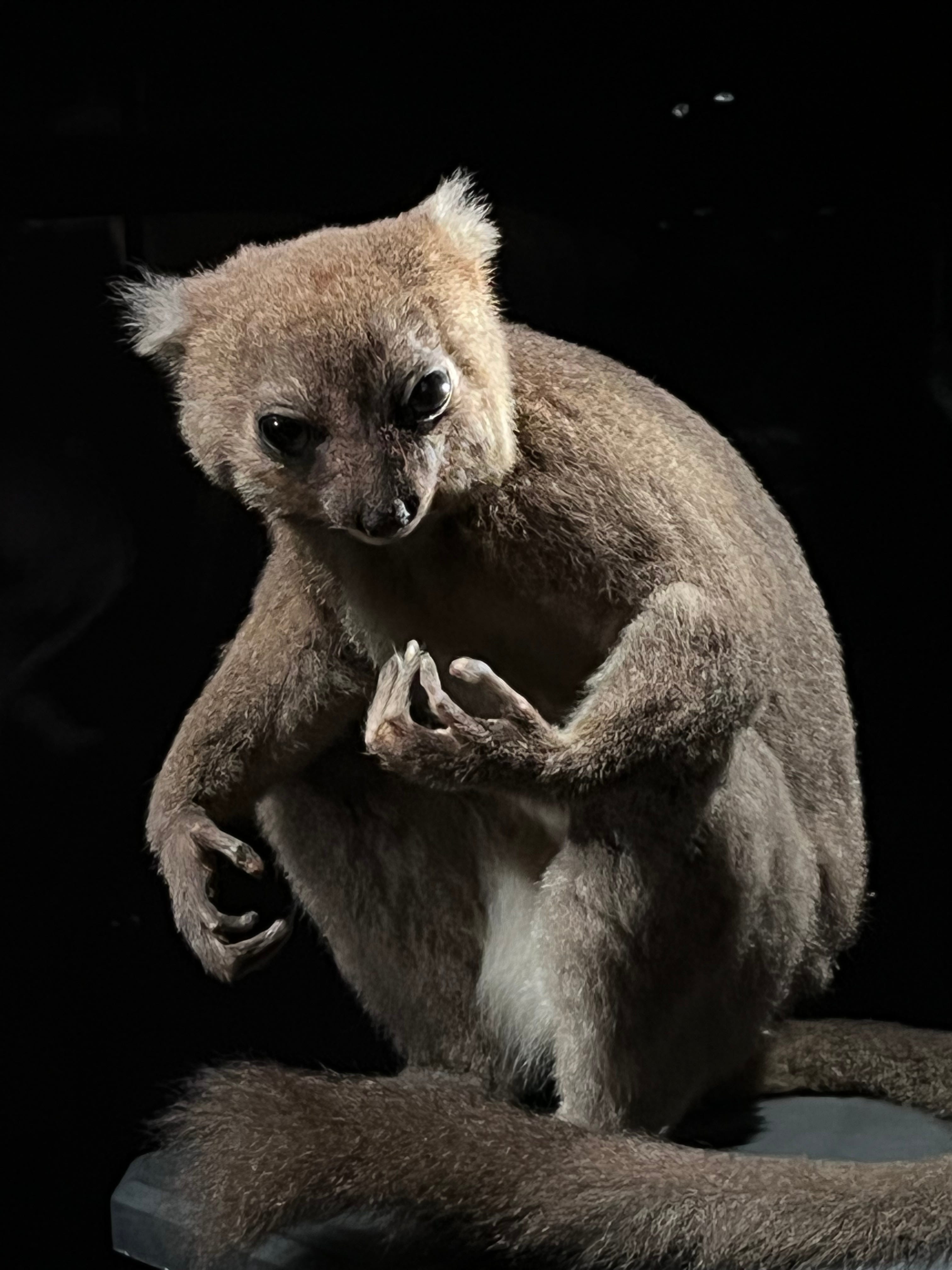 Where to Eat in the Latin Quarter - by Meg Zimbeck