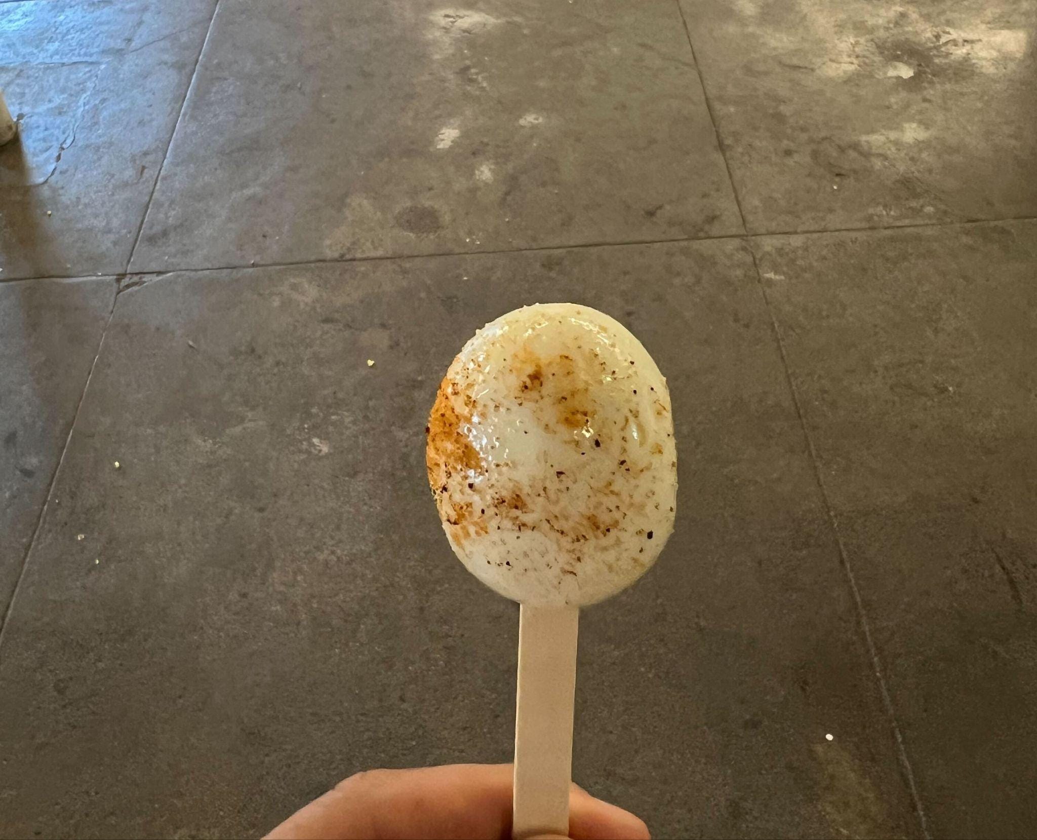 Sampling the Delicacies at the Iowa State Fair