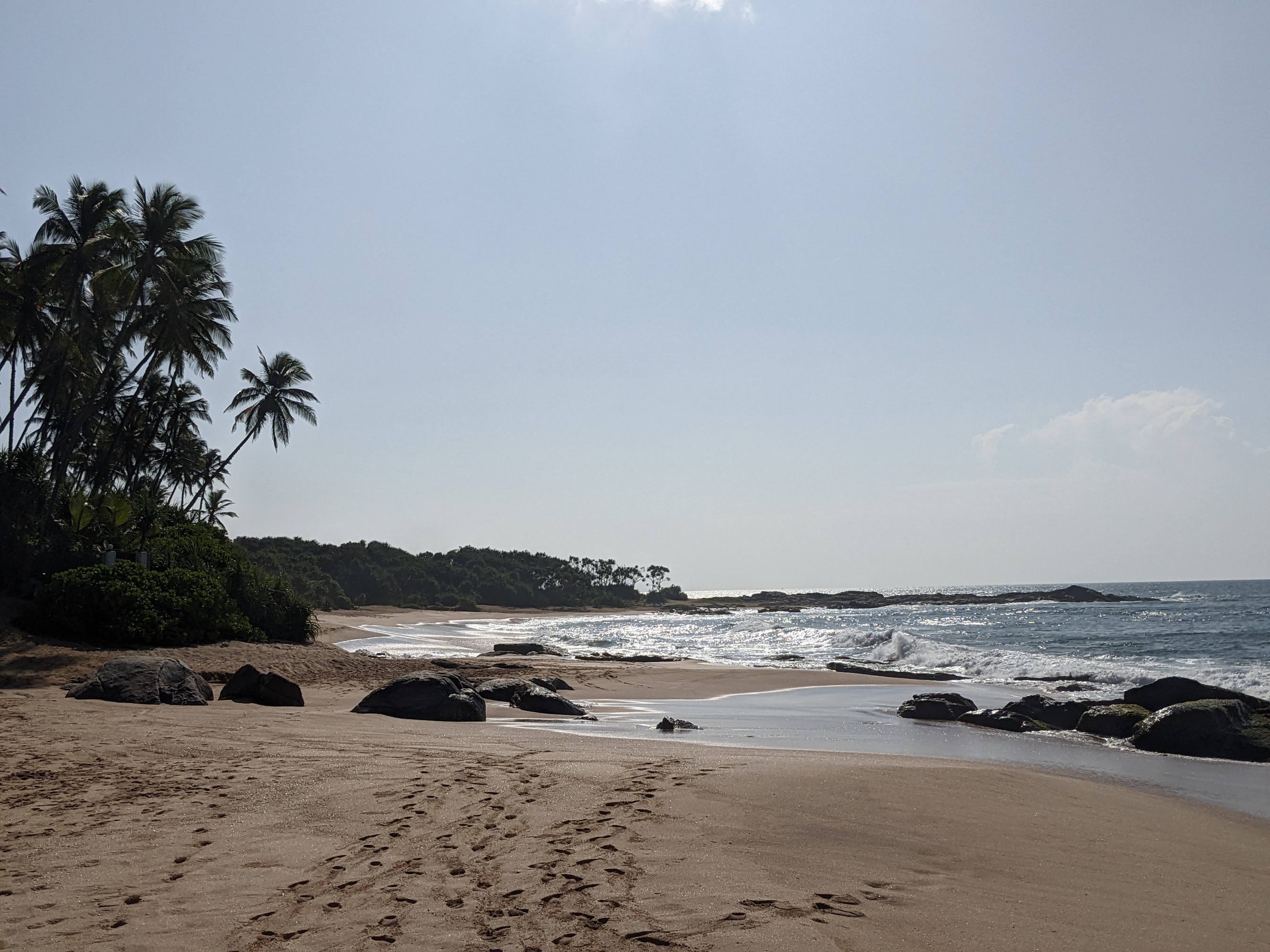 Balkan Ecology Project