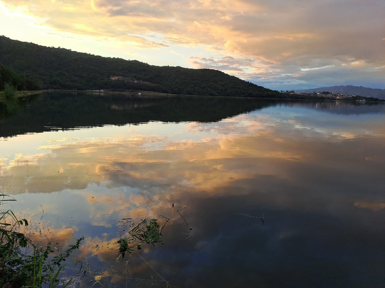 The Mona Reservoir - by Diana McCaulay