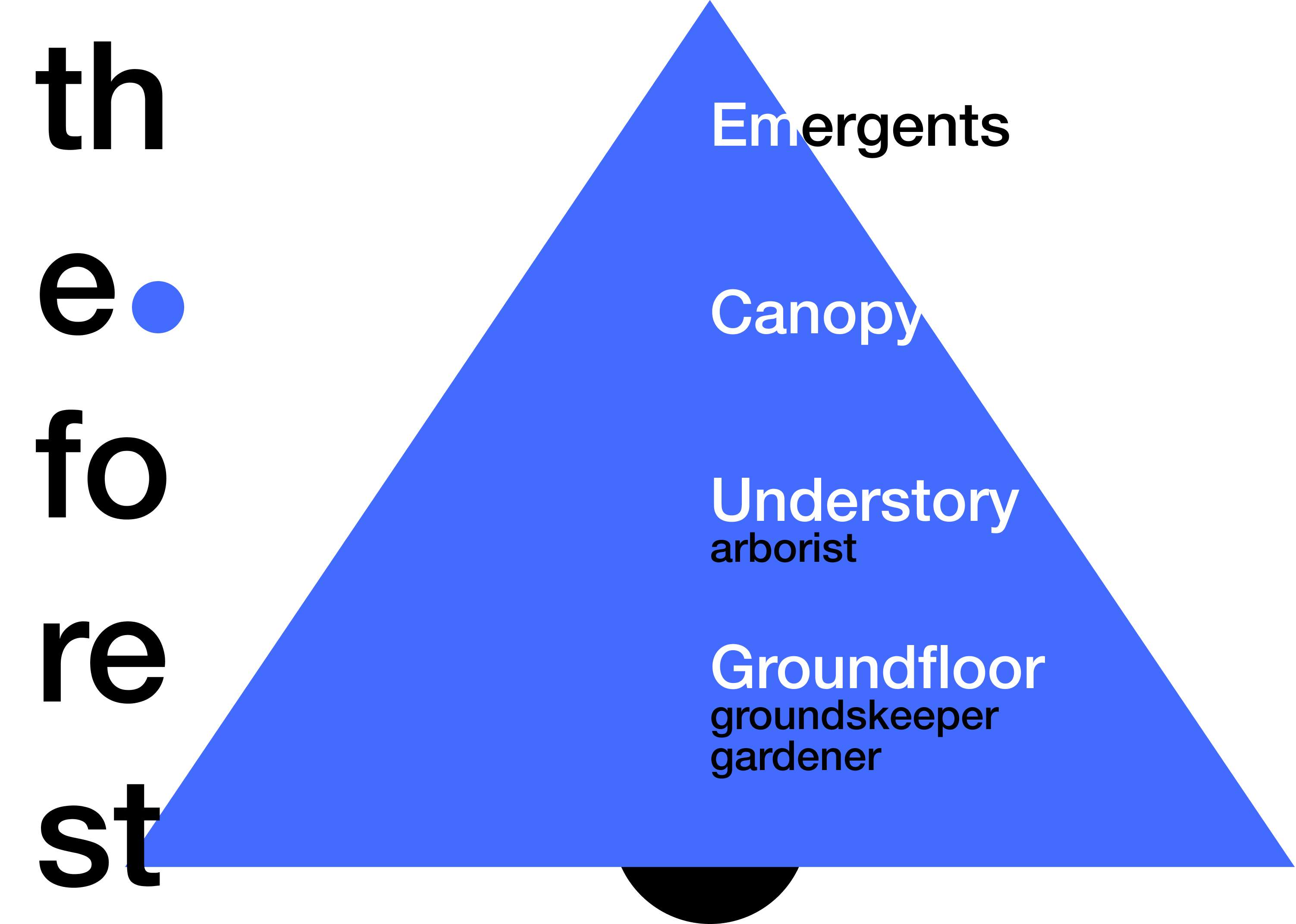 Why I'm Coding AI Tools for The Forest's Substack Subscribers