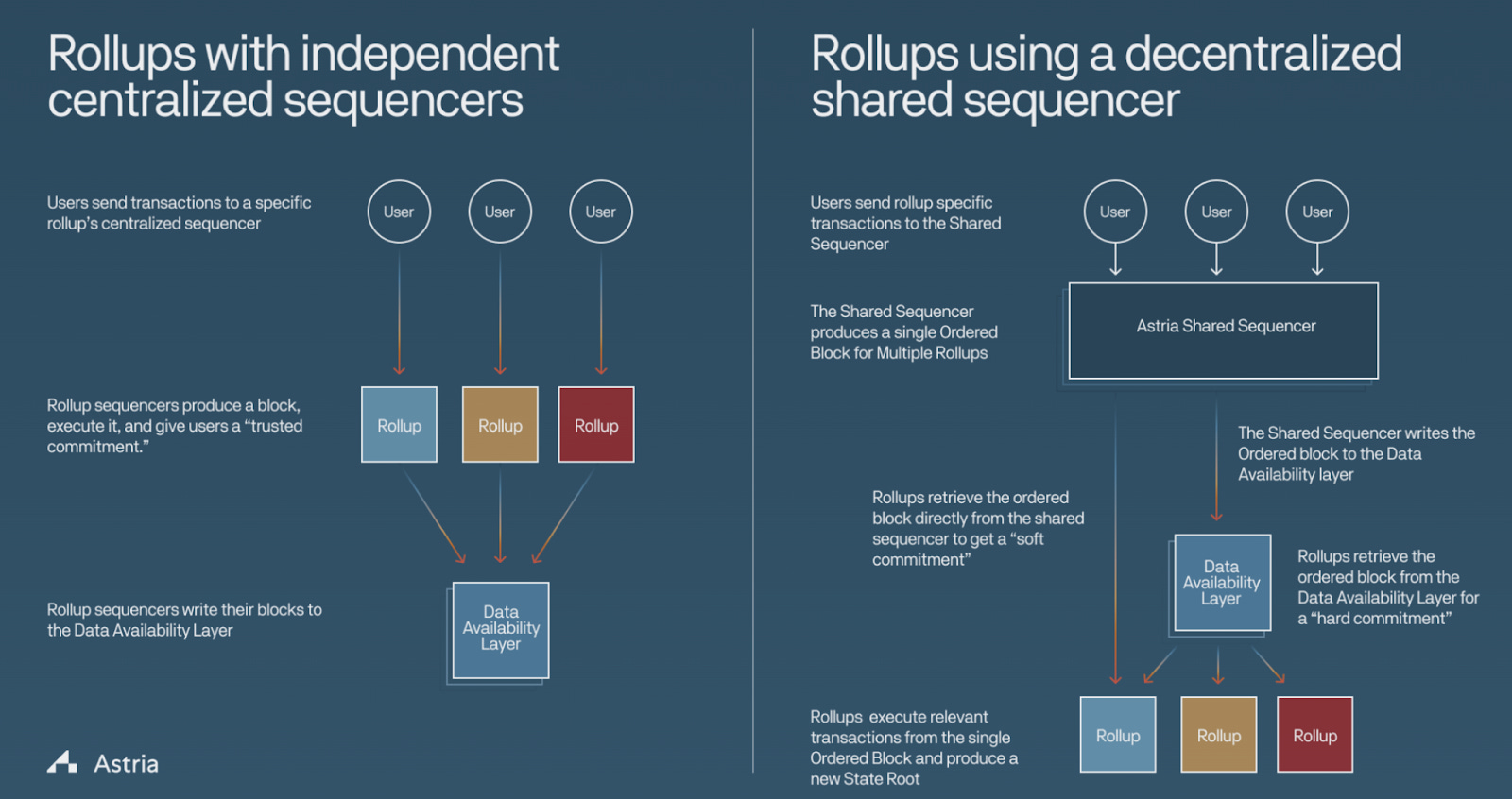 A Primer on Shared Sequencers