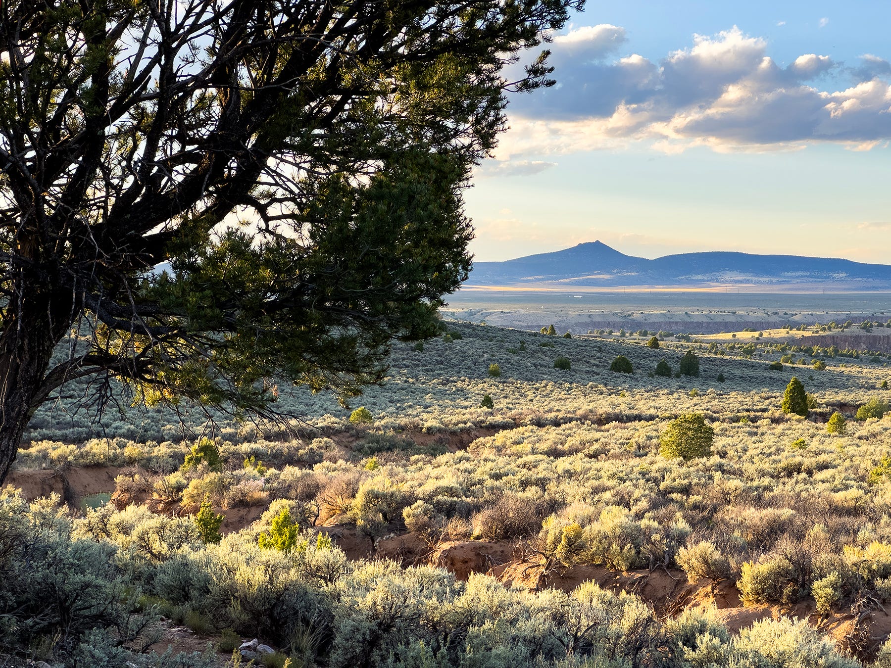 El Norte Fall 2023 - by John Hamilton Farr