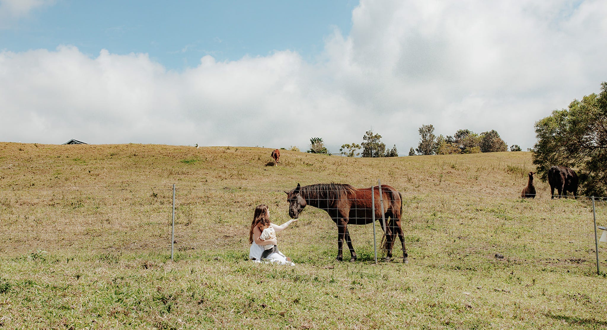 Spring Awakening - by Ebby Moyer - Ebby’s Substack