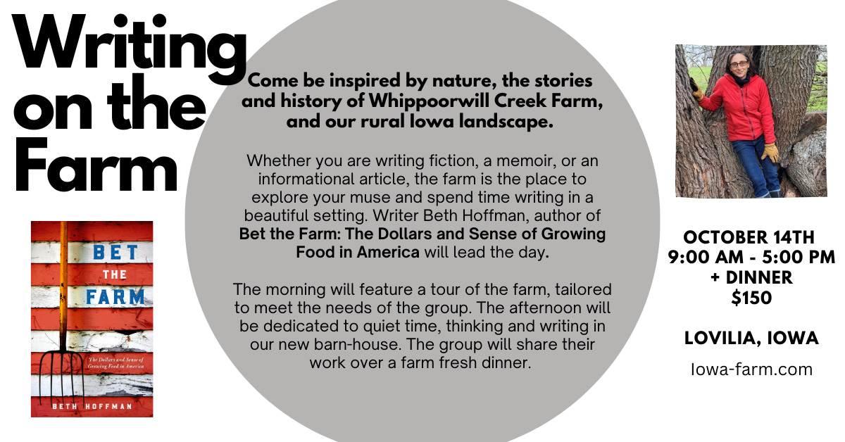 Why Get Up Early? - by Beth Hoffman - In the Dirt