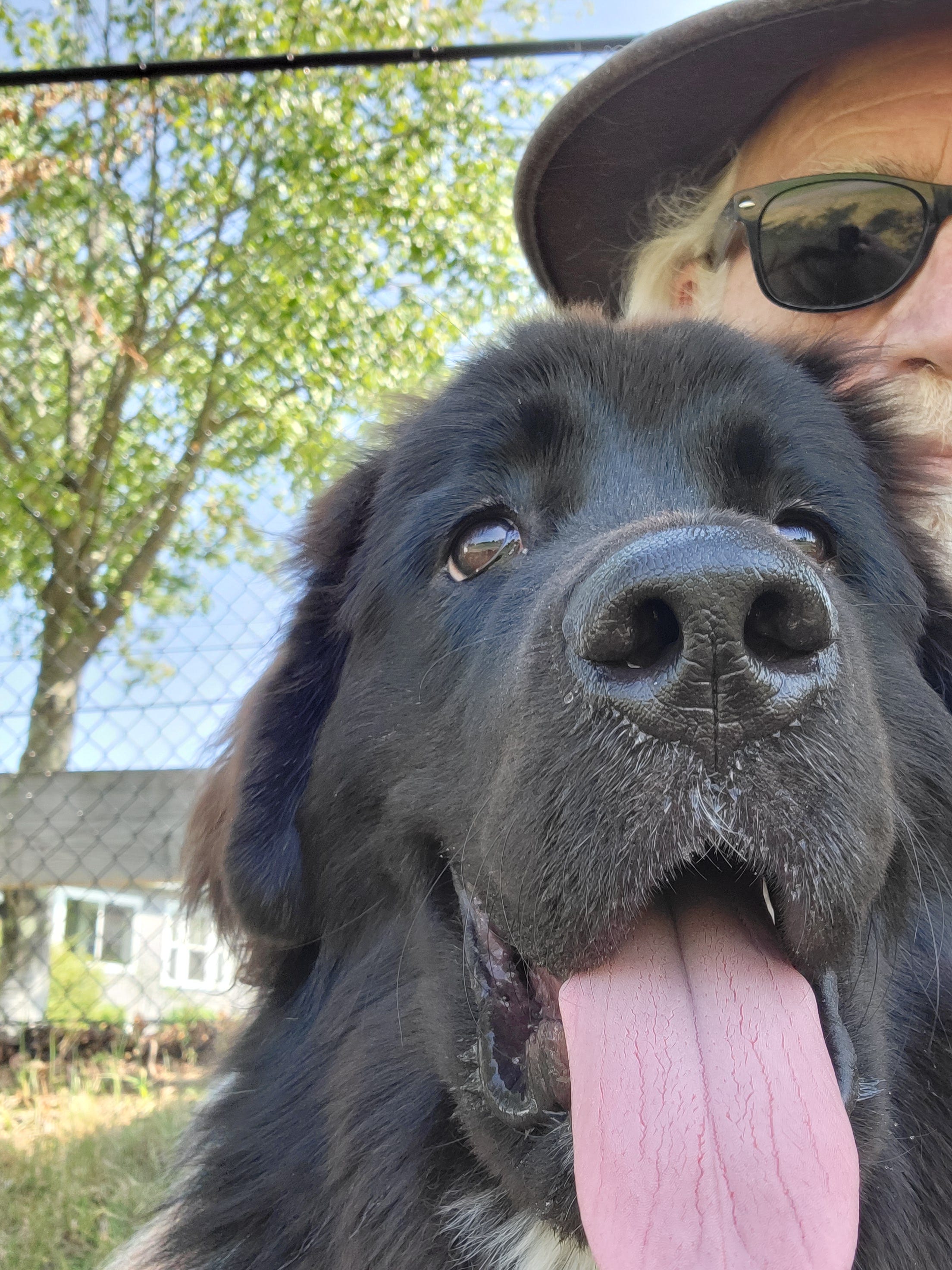 David M. Poff | Substack