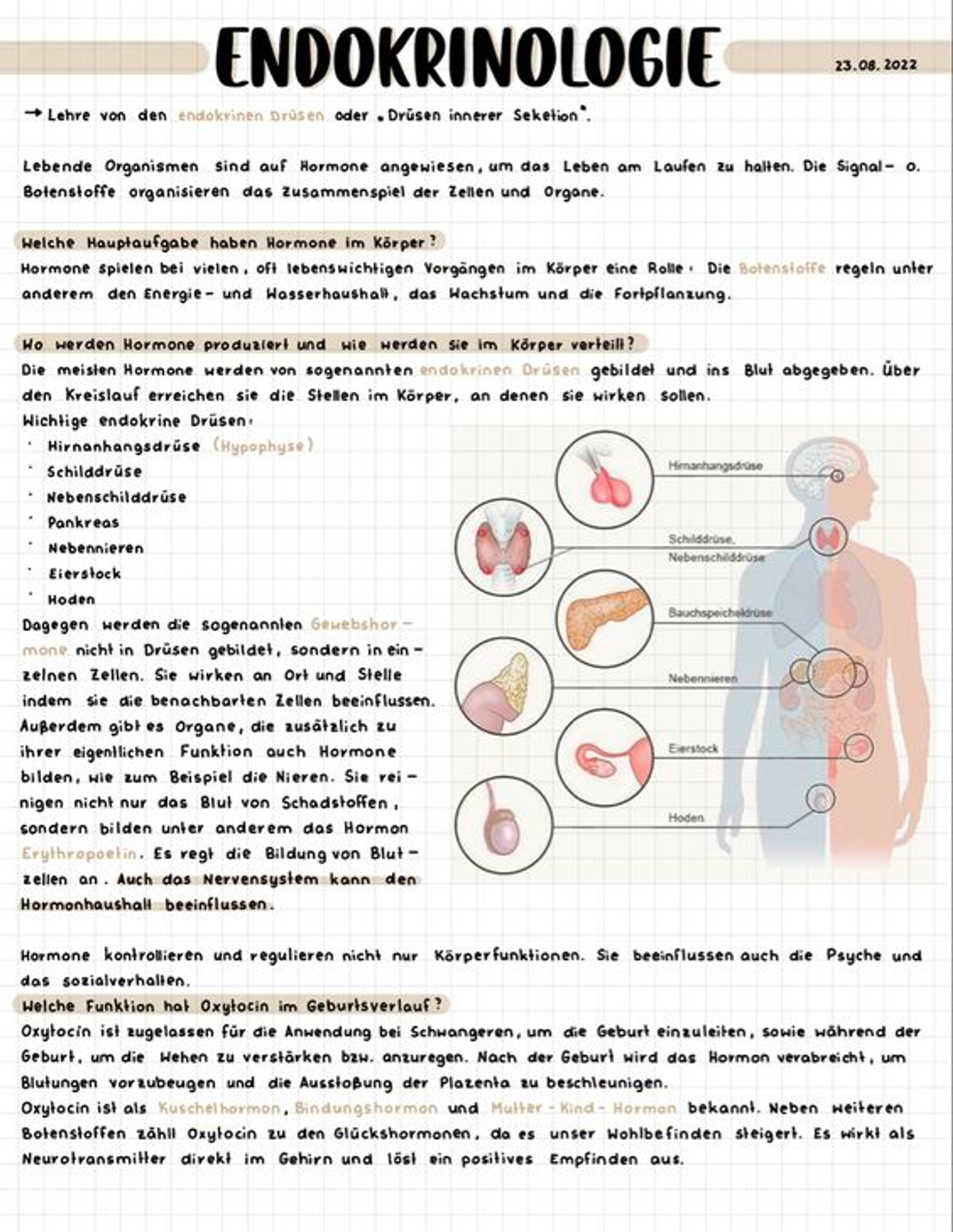 Mein BESTER Lerntipp - Das einfache System, um neue, schwierige Themen ...