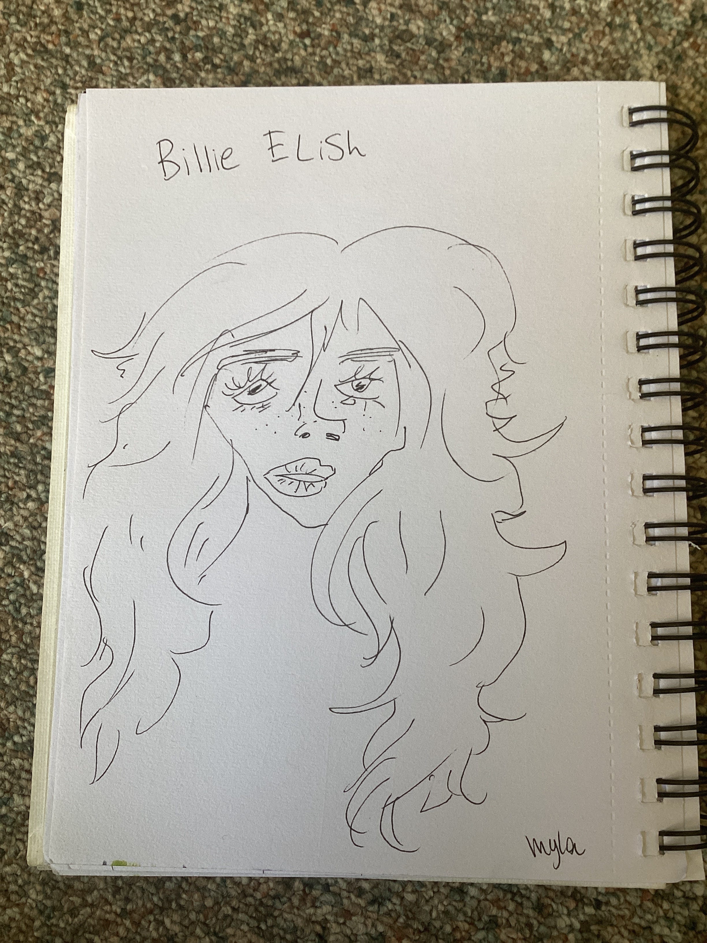 5 minute drawings of famous musicians/singers