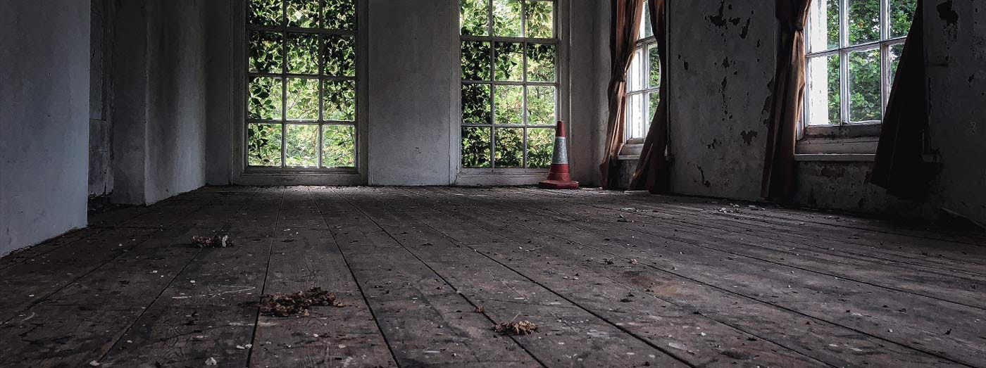 Introducing the Memory Mine - by Miranda W - Root Stories