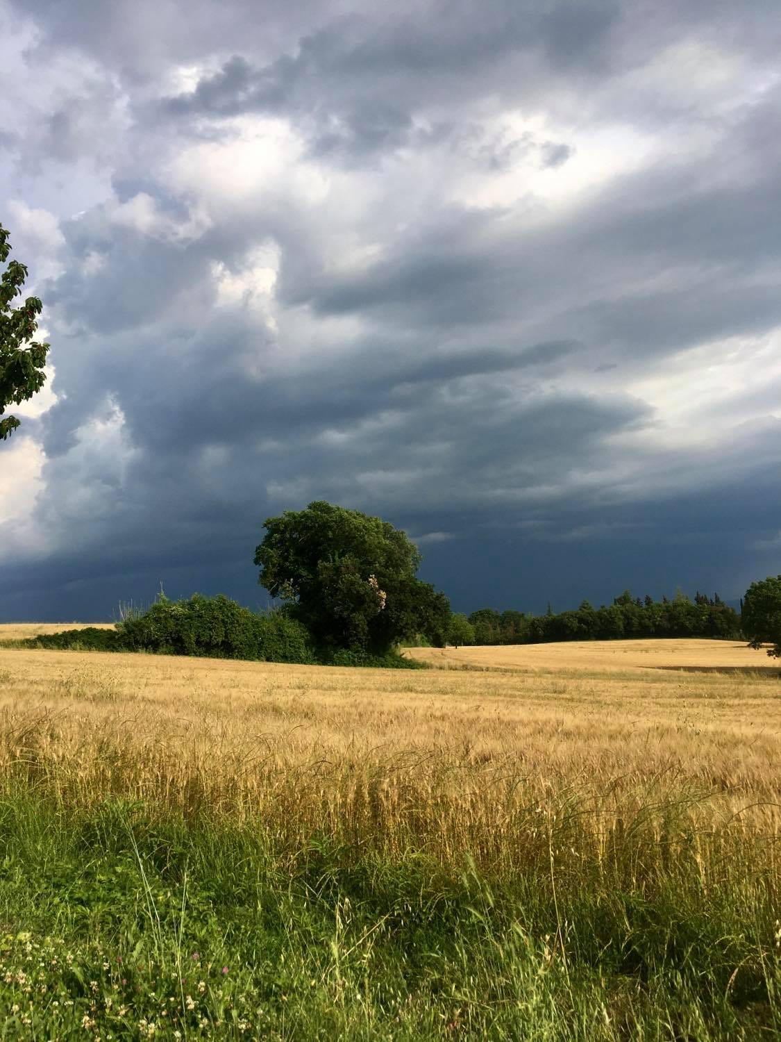 Here Are the 12 Things I Will Miss About Italy