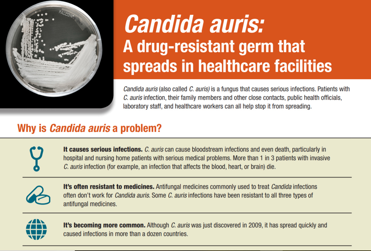 Candida auris outbreak in the Seattle area