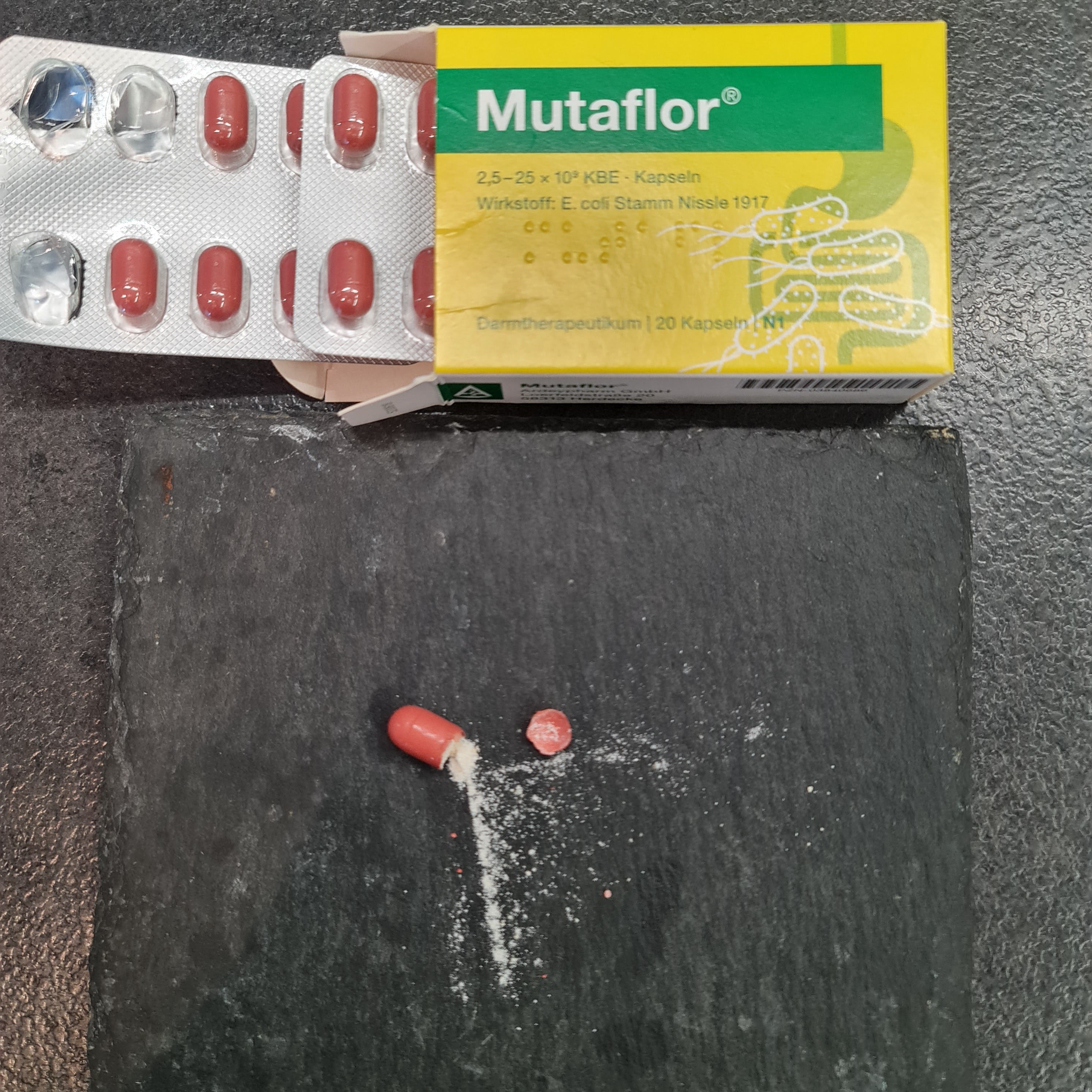 A DIY Vegan Probiotic for inflammation: E. coli Nissle 1917 (Mutaflor)