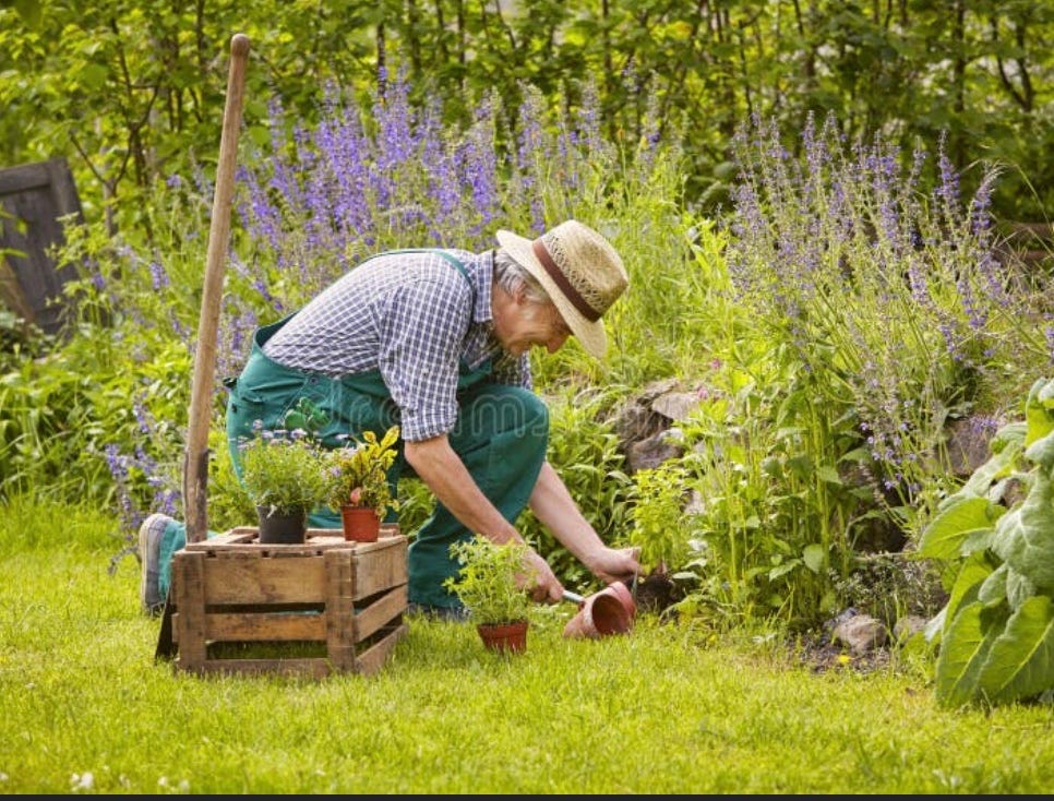 The Gentle Art of Pottering - The House of Oaks and Owls