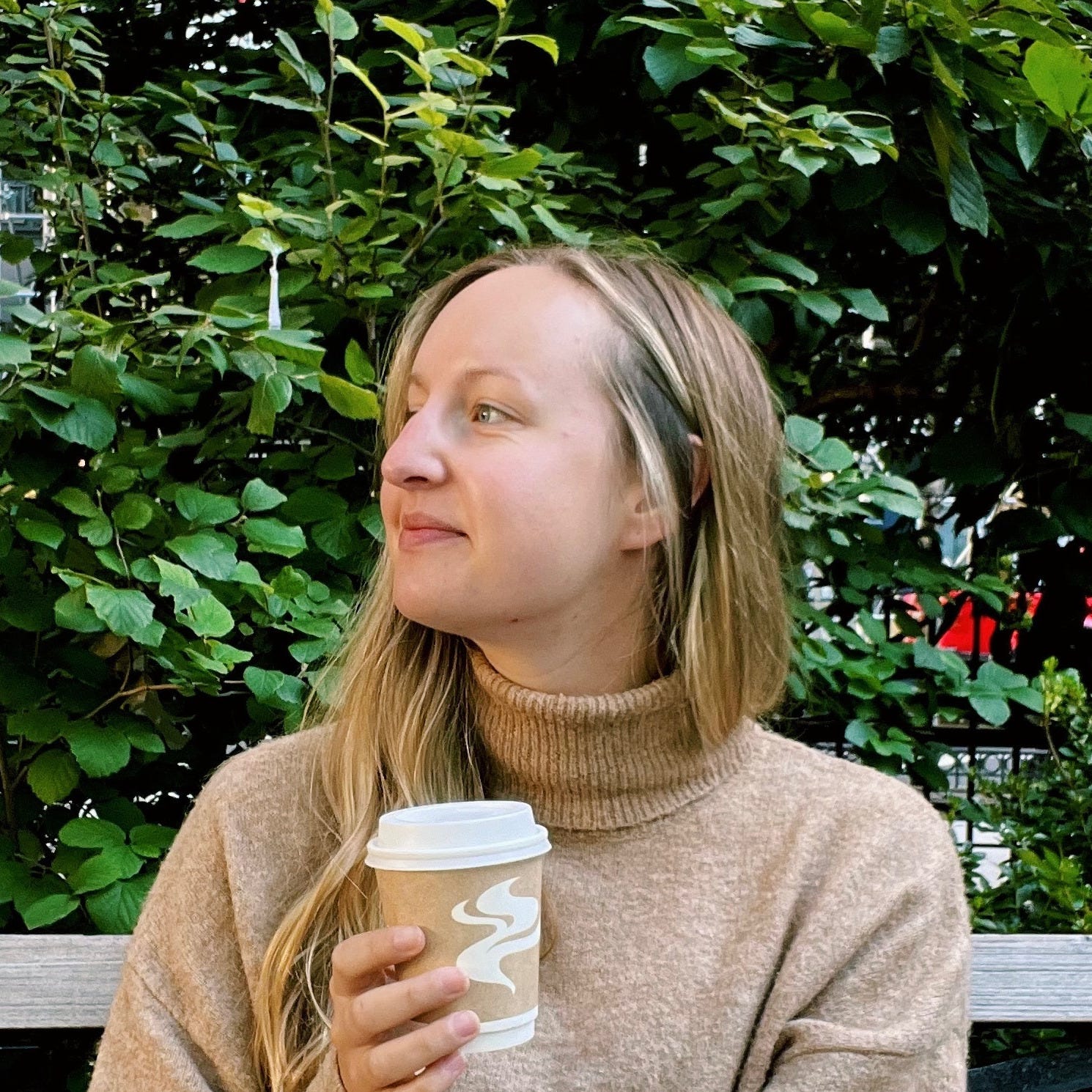 Stephanie Mork | Substack