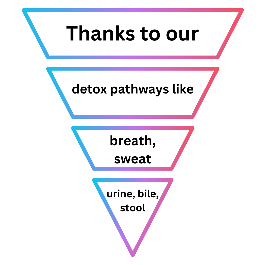 This week, the Detox Funnel. - by Heather LeFevre, CST-T