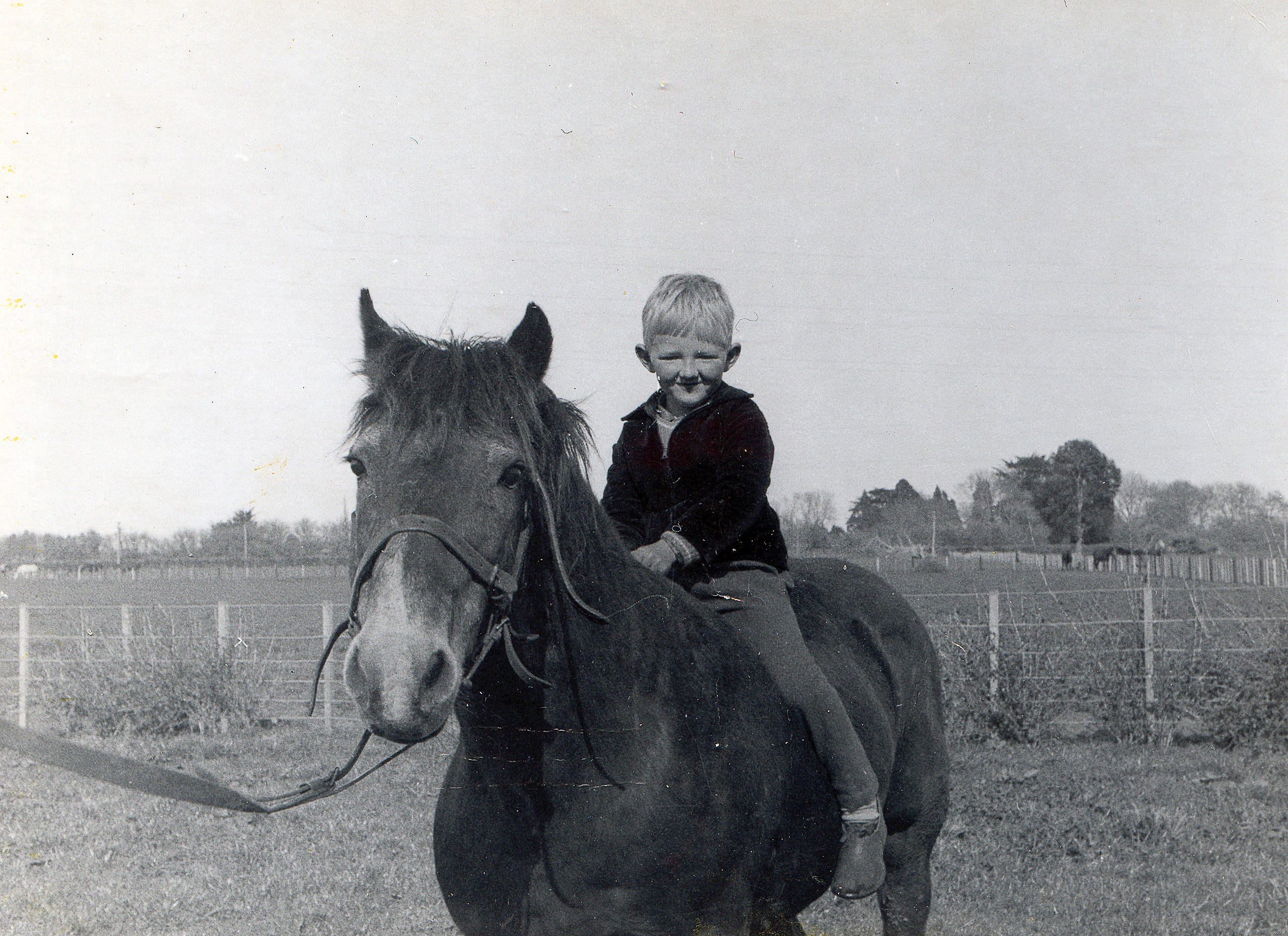 Alan Doak | Substack