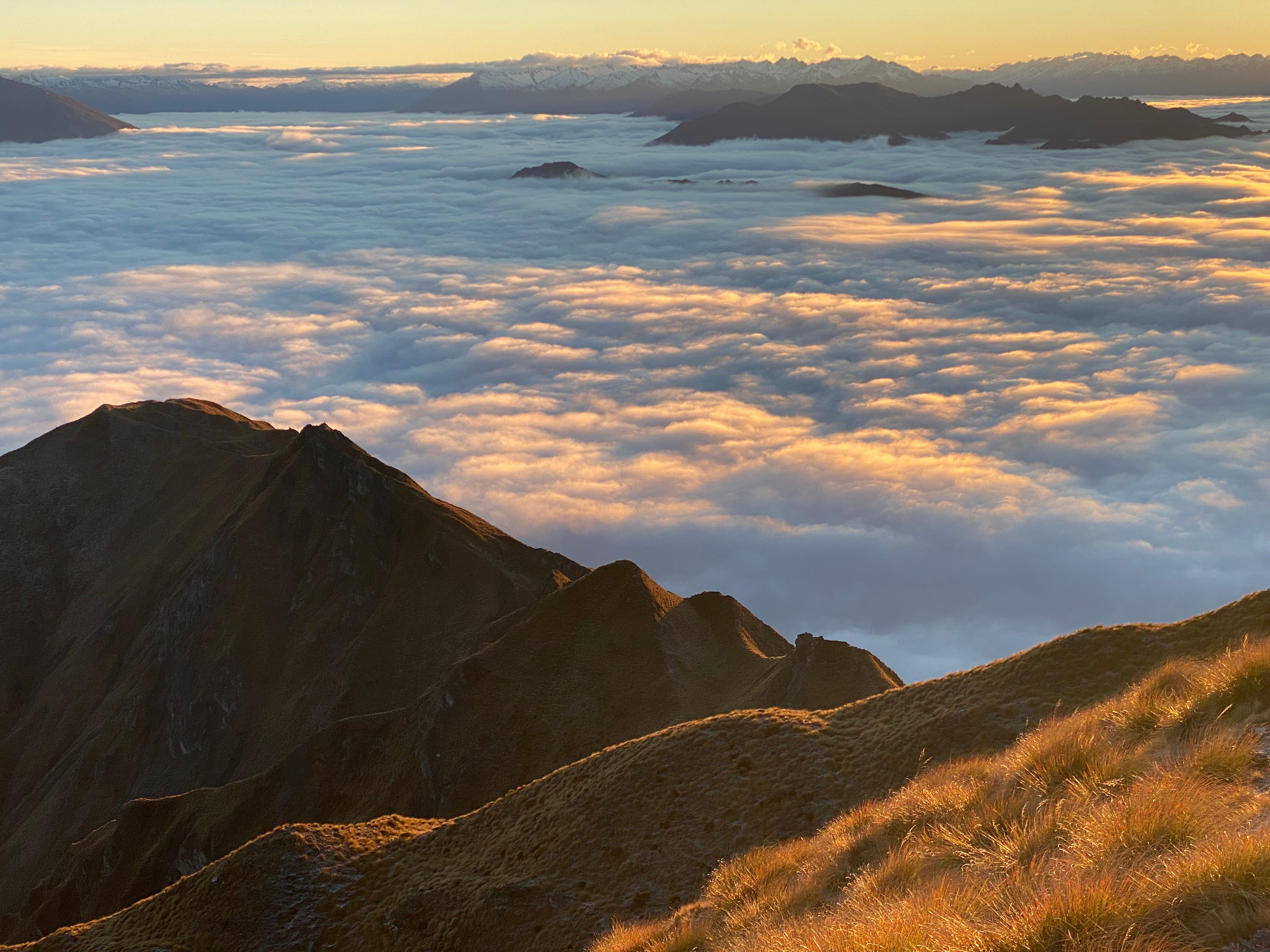 Is ChatGPT the first true word processor? - by Dave Heatley