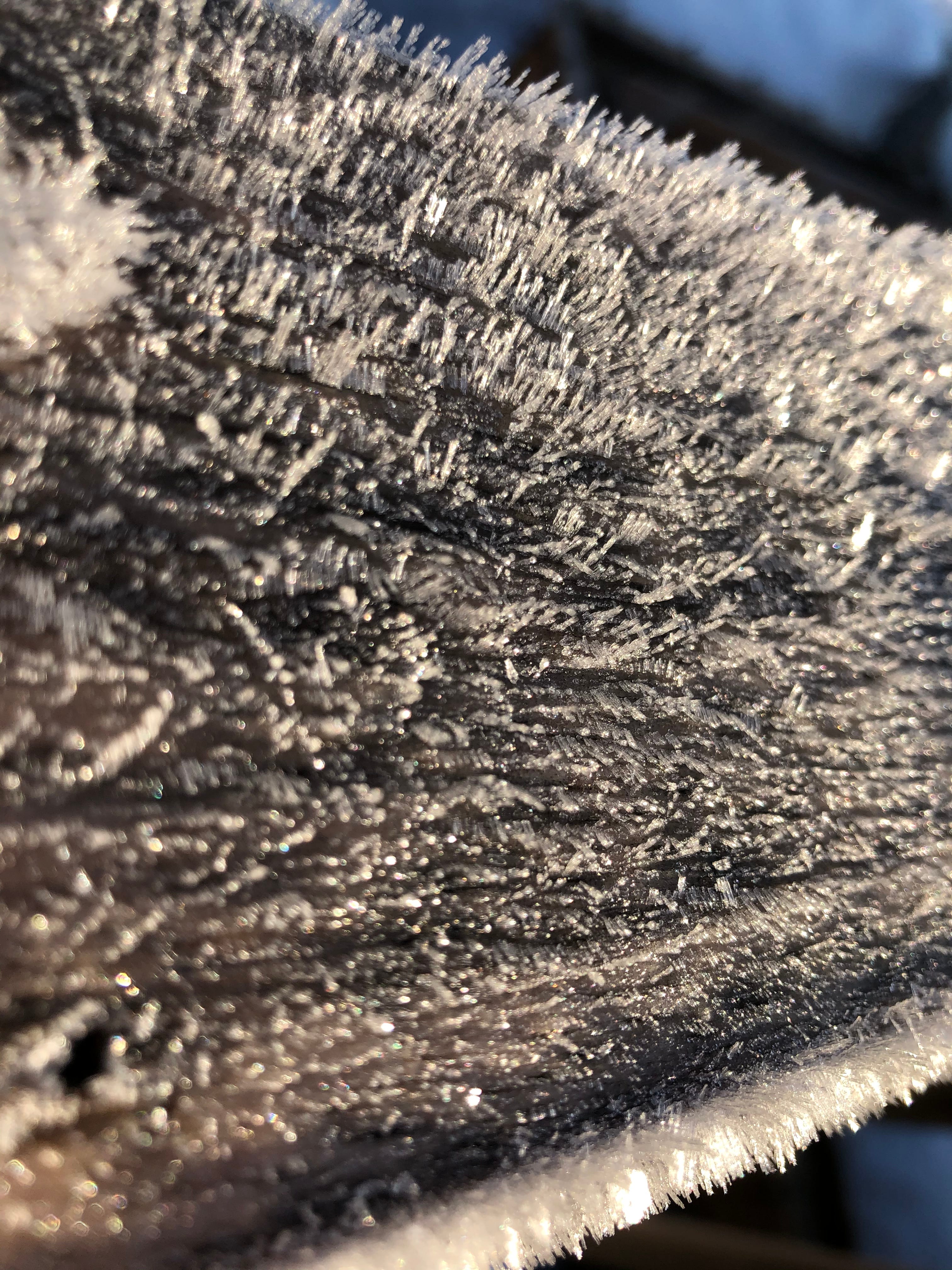 Daily Buzz | Here's How To Make Your Campaign Official