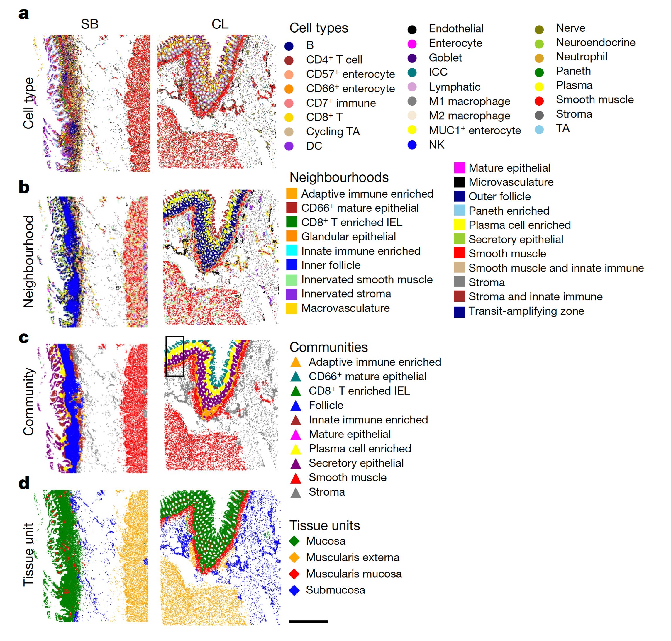 Spatial biology is lighting it up - by Eric Topol