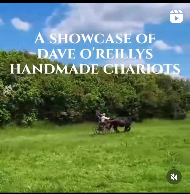 The Forgotten Horses of Tuamgraney - by Siofra O'Donovan