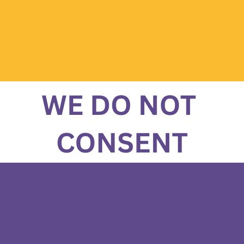 Susan Scheid | Substack