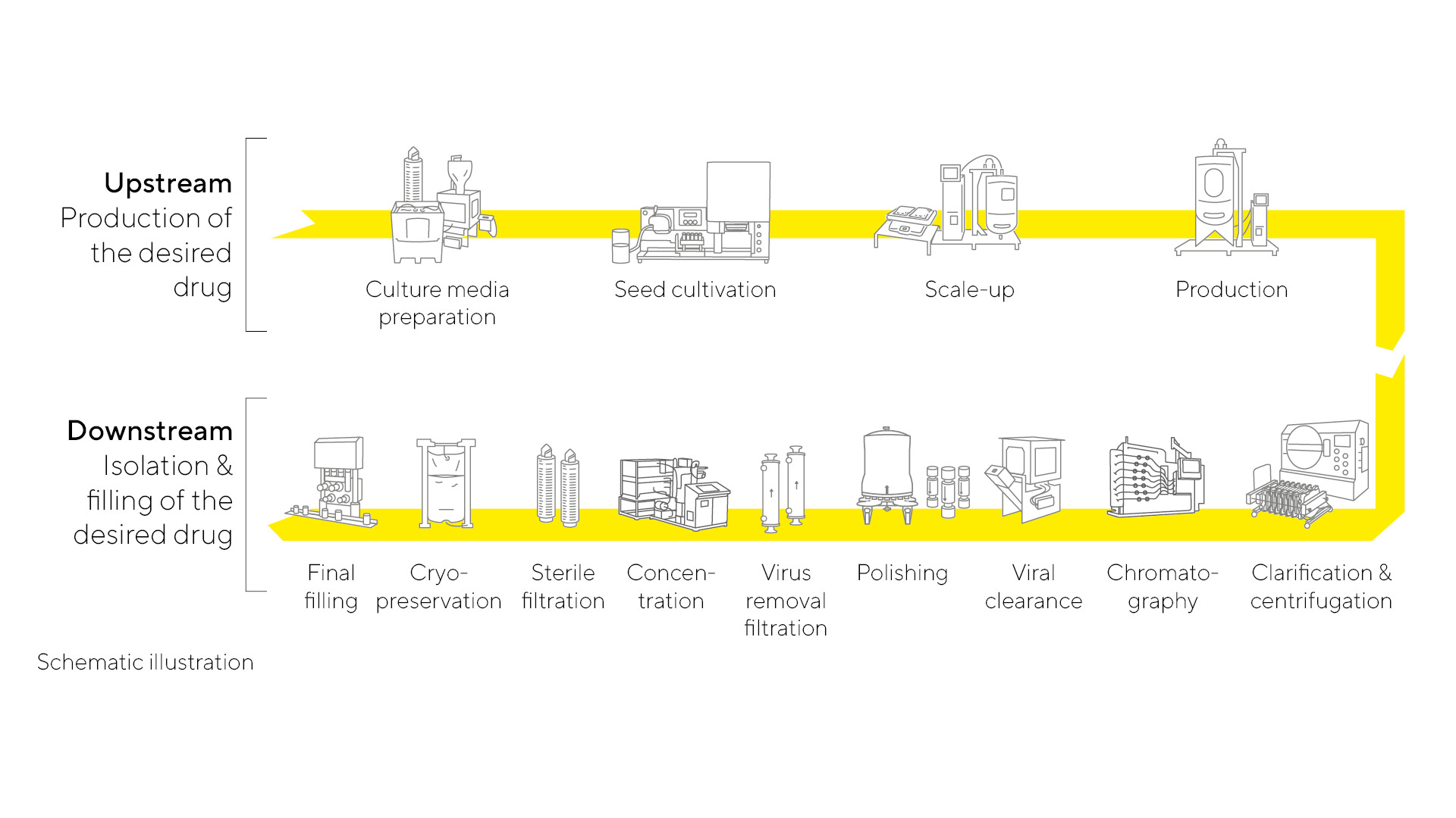 Life Science Tools and Services - Sector Analysis