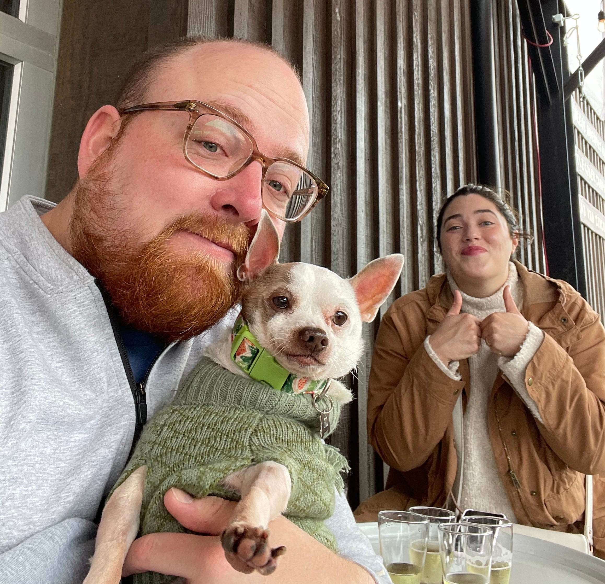 On bringing home a dog who hates you - by Adrian Lott