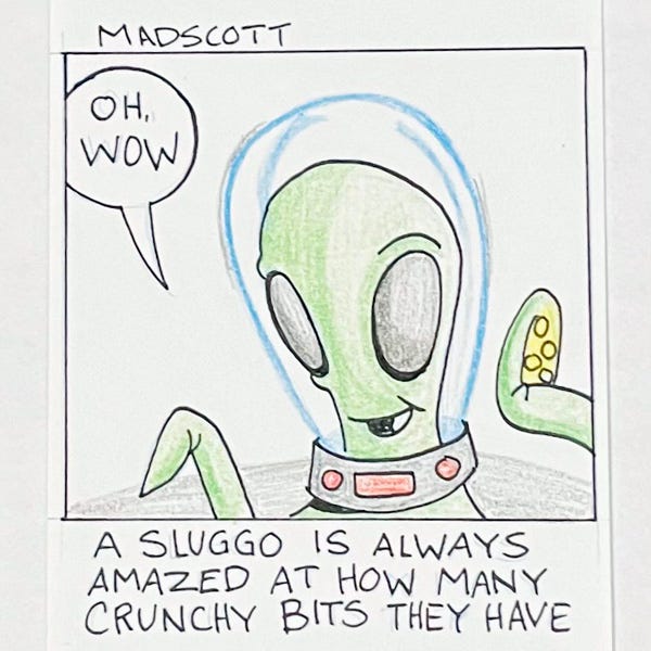 Public Flogging for 11/14/2024 - Madscott’s Public Flogging