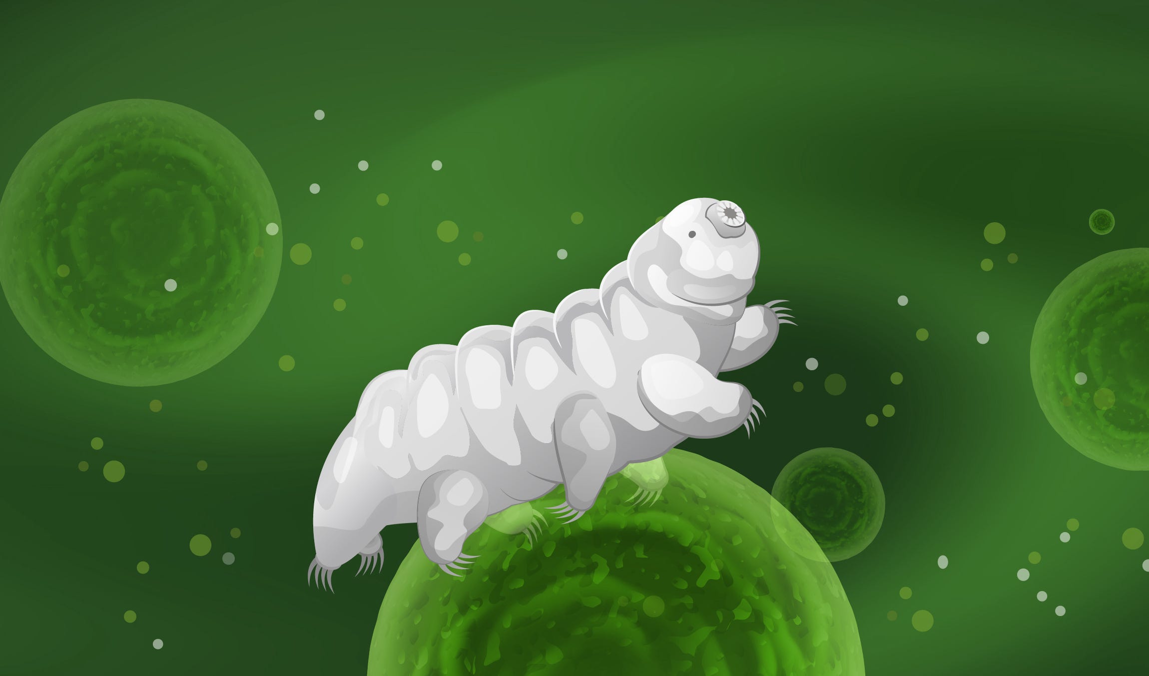 September 2023 Newsletter - Science Journal for Kids