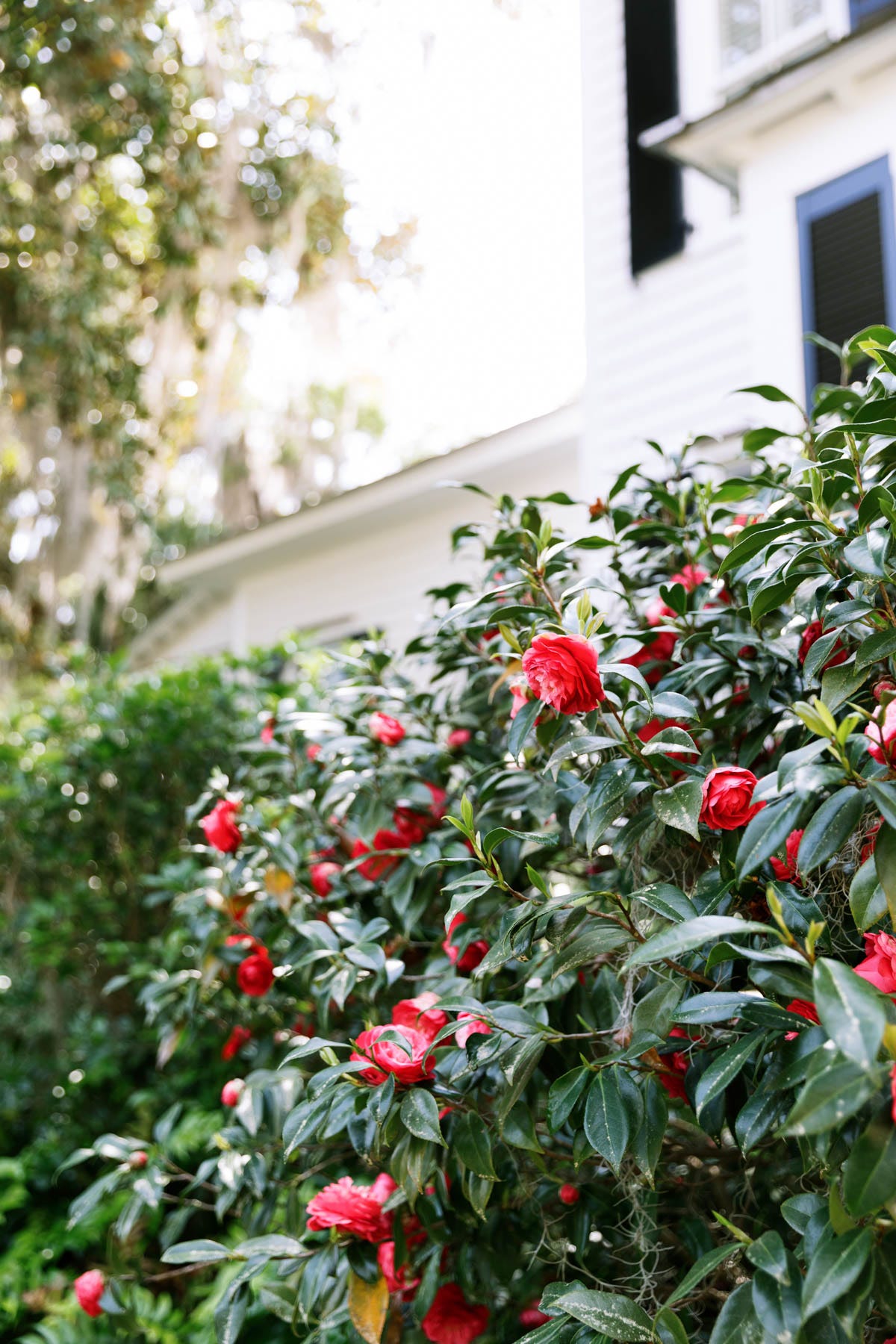 Sunday Scroll #37 - Emily Ley’s Substack