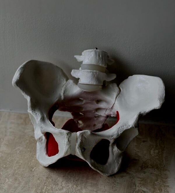 The Importance of Pelvic Floor Health: Tips for New Moms and Athletes