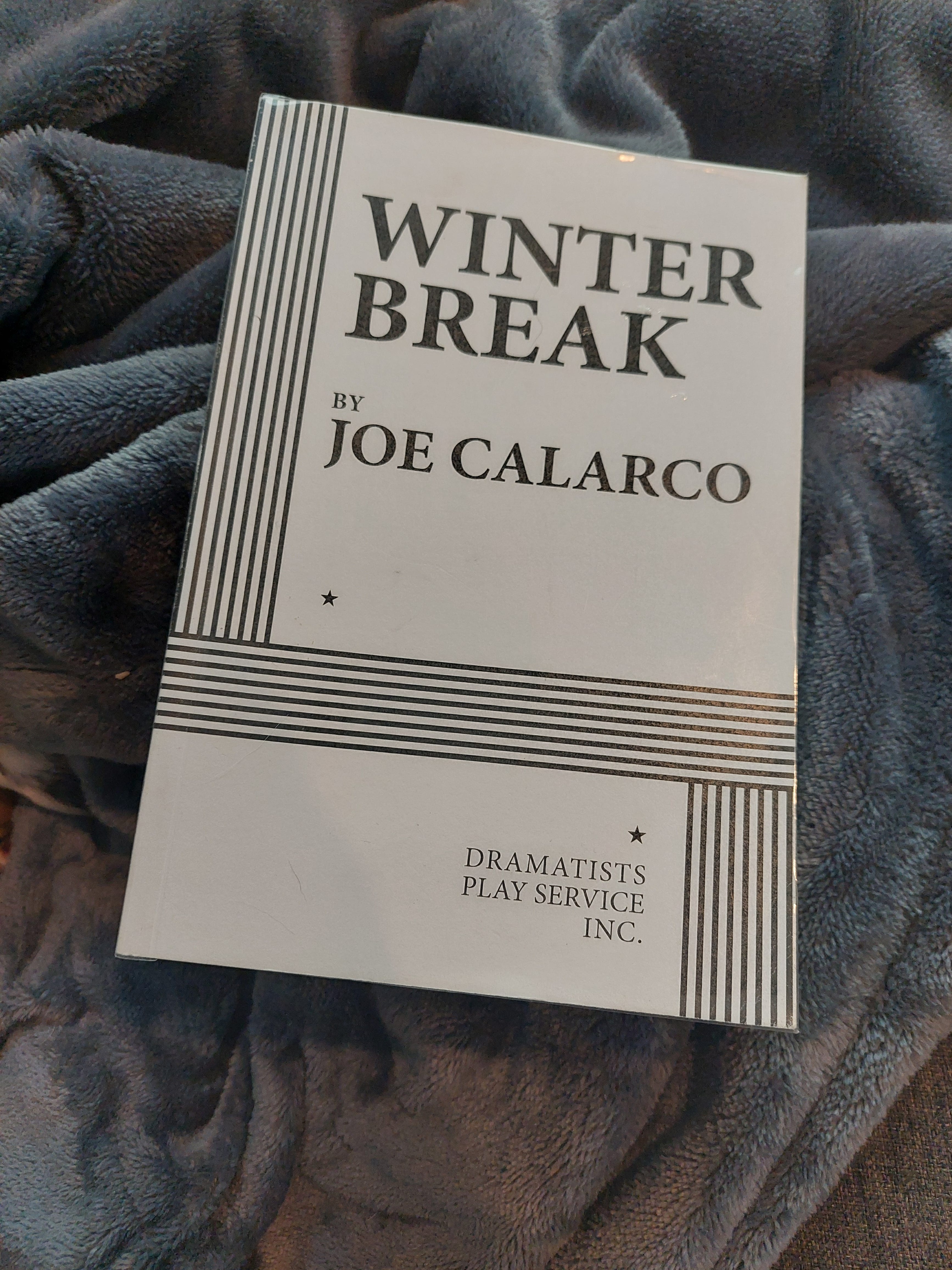 Winter Break by Joe Calarco - by Lainie Vansant