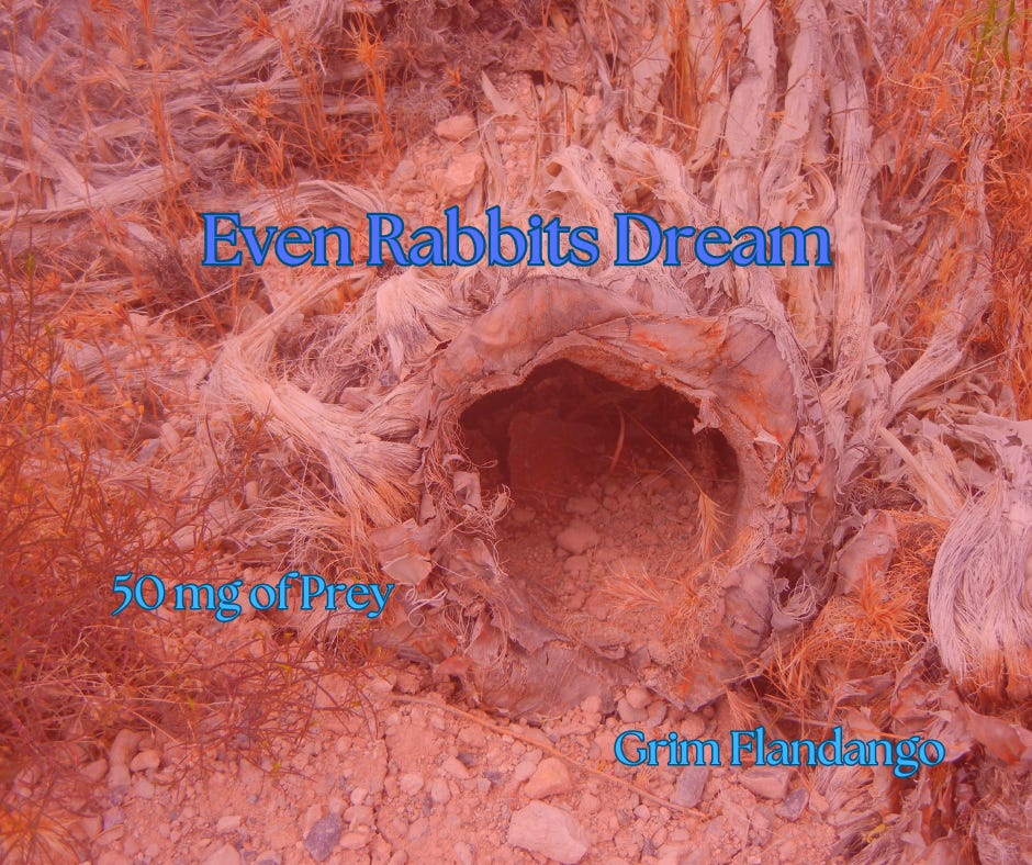 Even Rabbits Dream - by Grim Flandango - Grim’s Substack