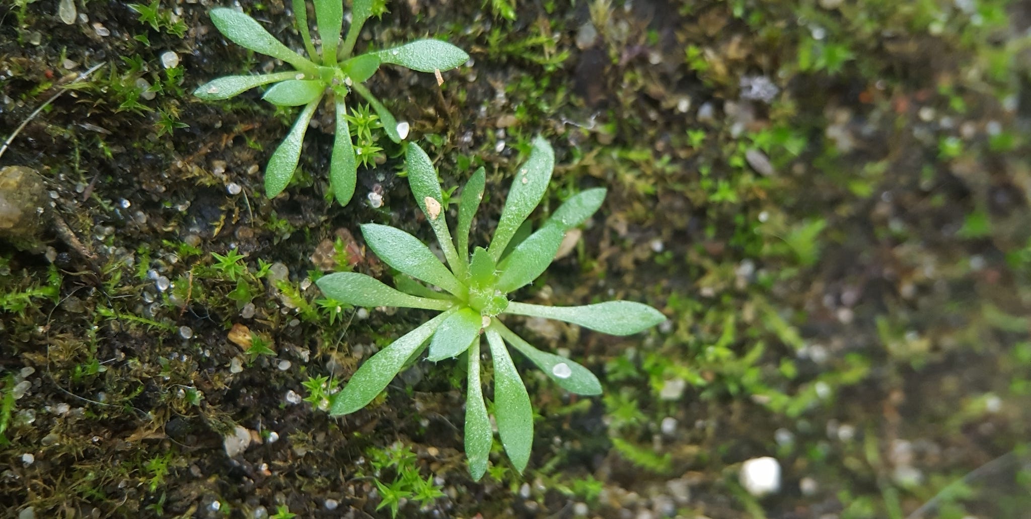 What To Look For In January 2024 - by David Bocking