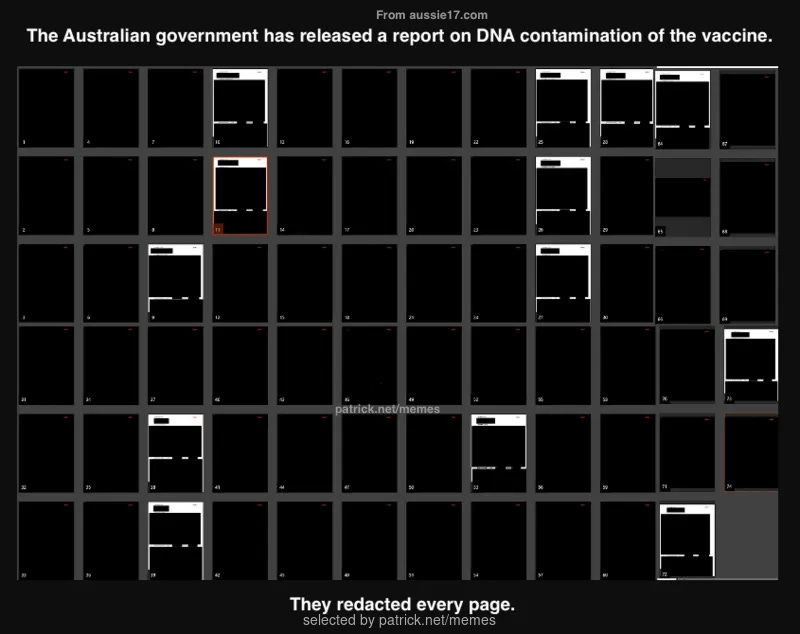 Patrick.net Memes | patrick.net/memes | Substack