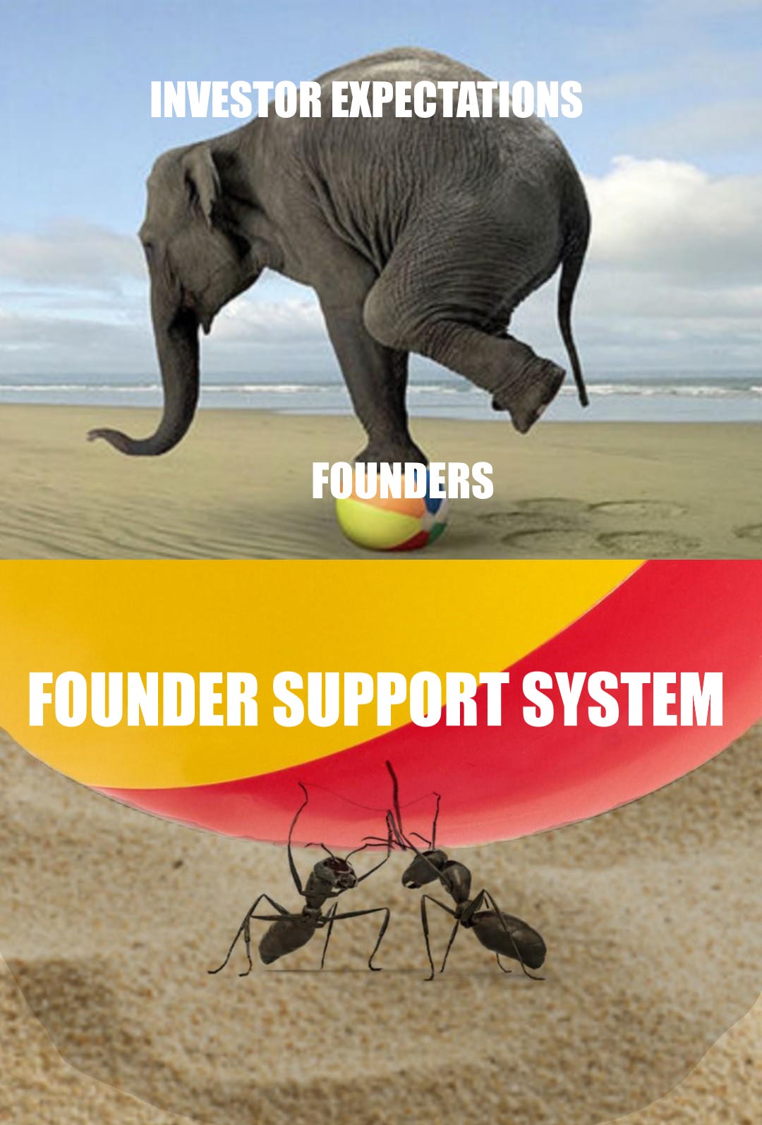 Founder wellbeing - what can and should investors do?