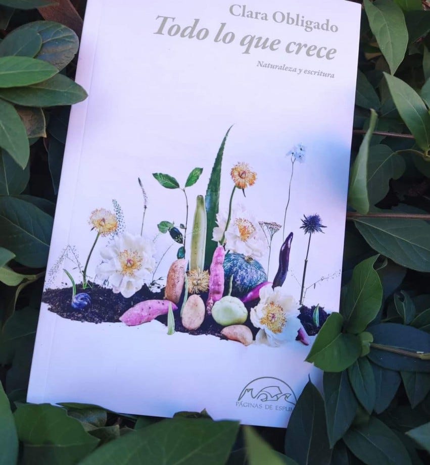 Los pájaros que auguran - by euge